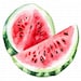 Watermelon Clipart | 5 High Quality Jpgs | Digital Download | Summer ...