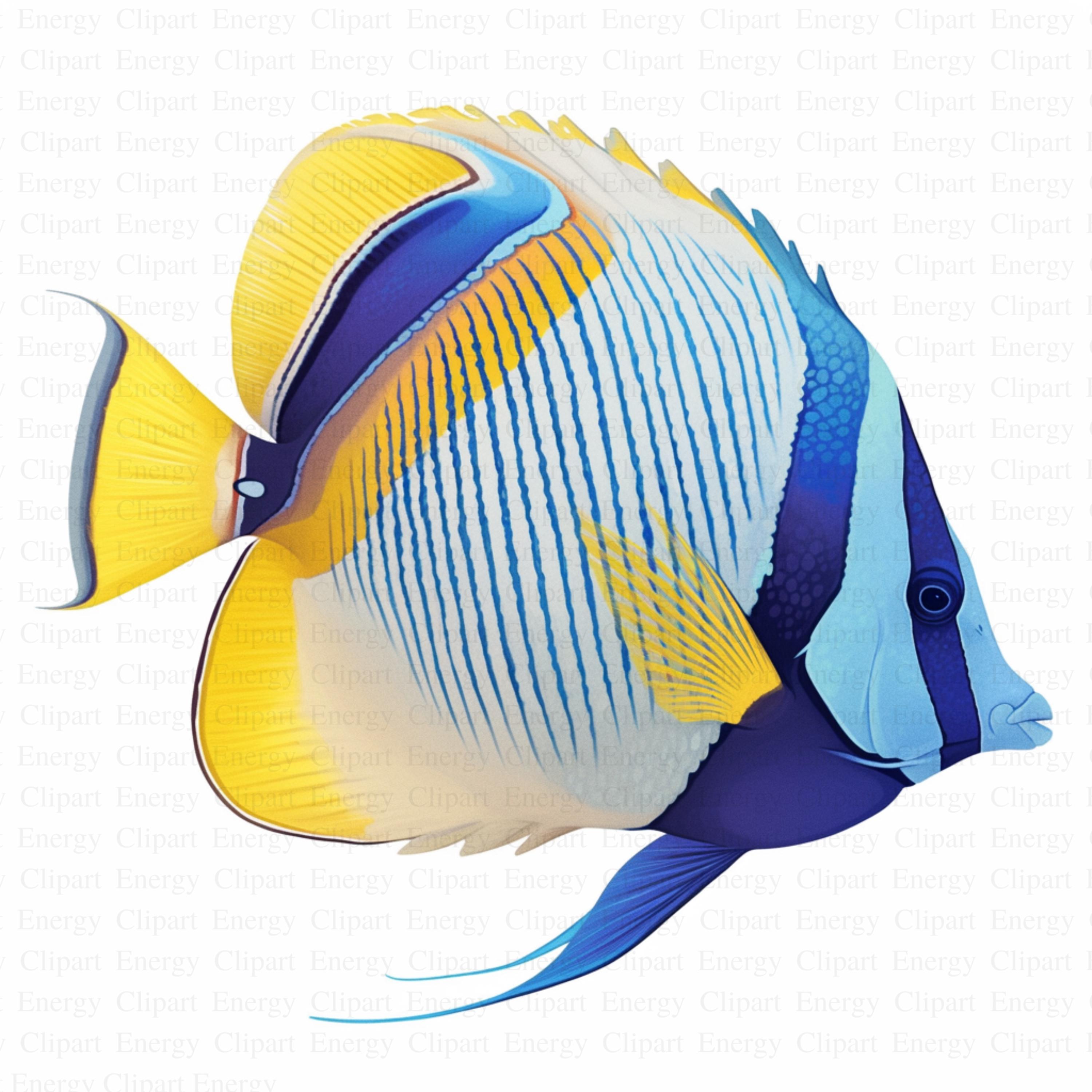 Watercolor Tropical Fish Clipart | 5 High Quality Jpg's | Digital ...