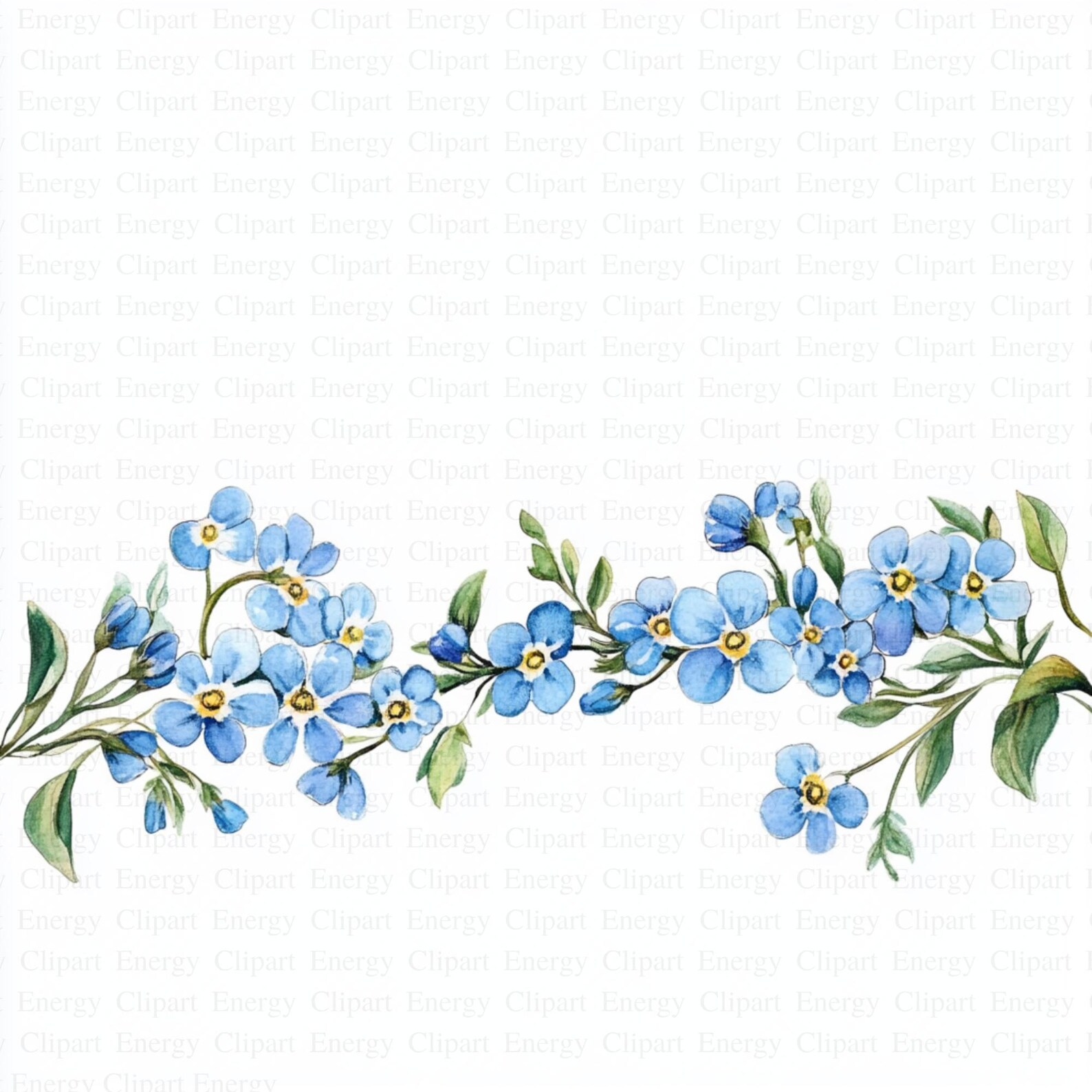 Floral Border | 5 High Quality Jpgs | Digital Download | Forget Me Not ...