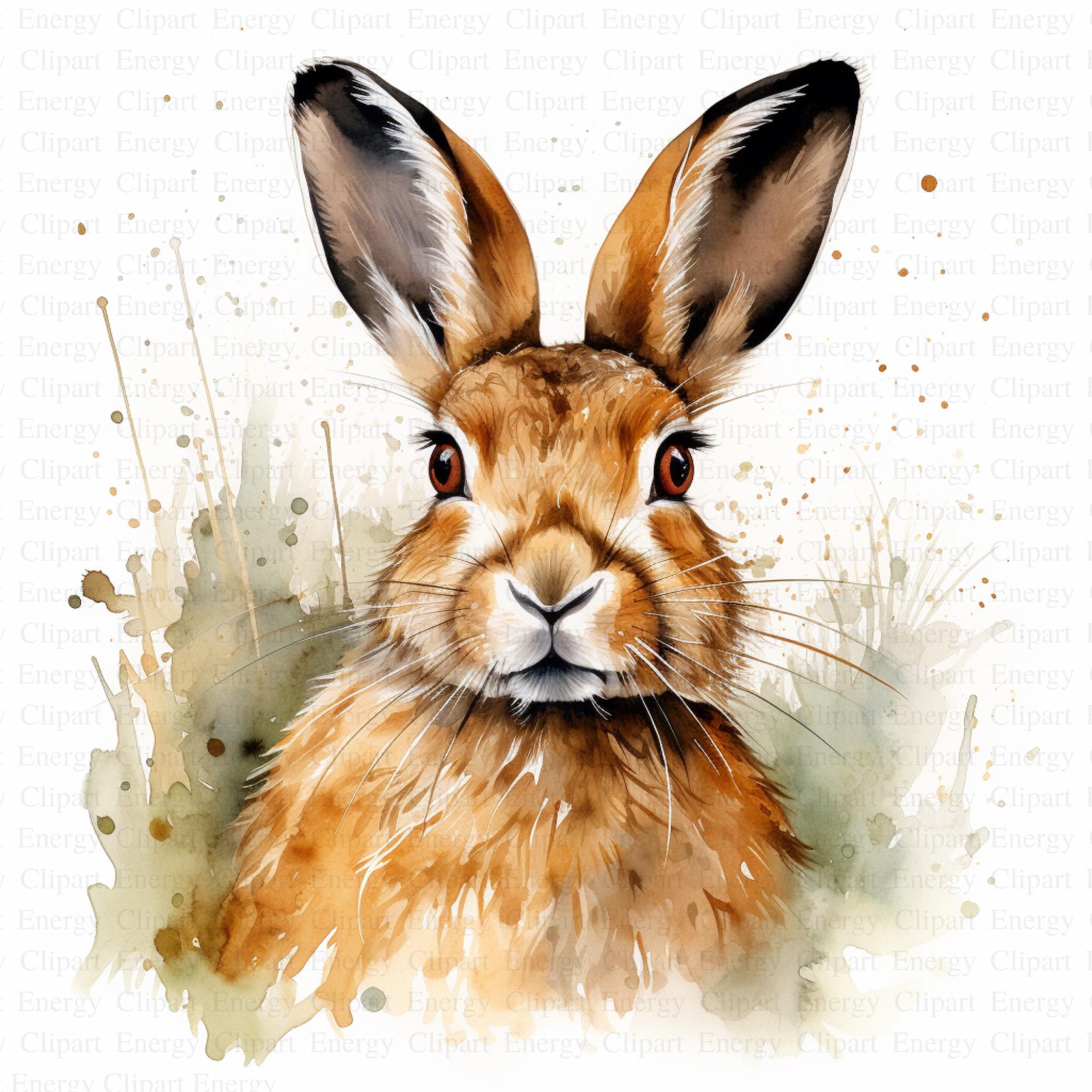 Hare Clipart | 5 High Quality Jpgs | Digital Download | Scrapbooking ...