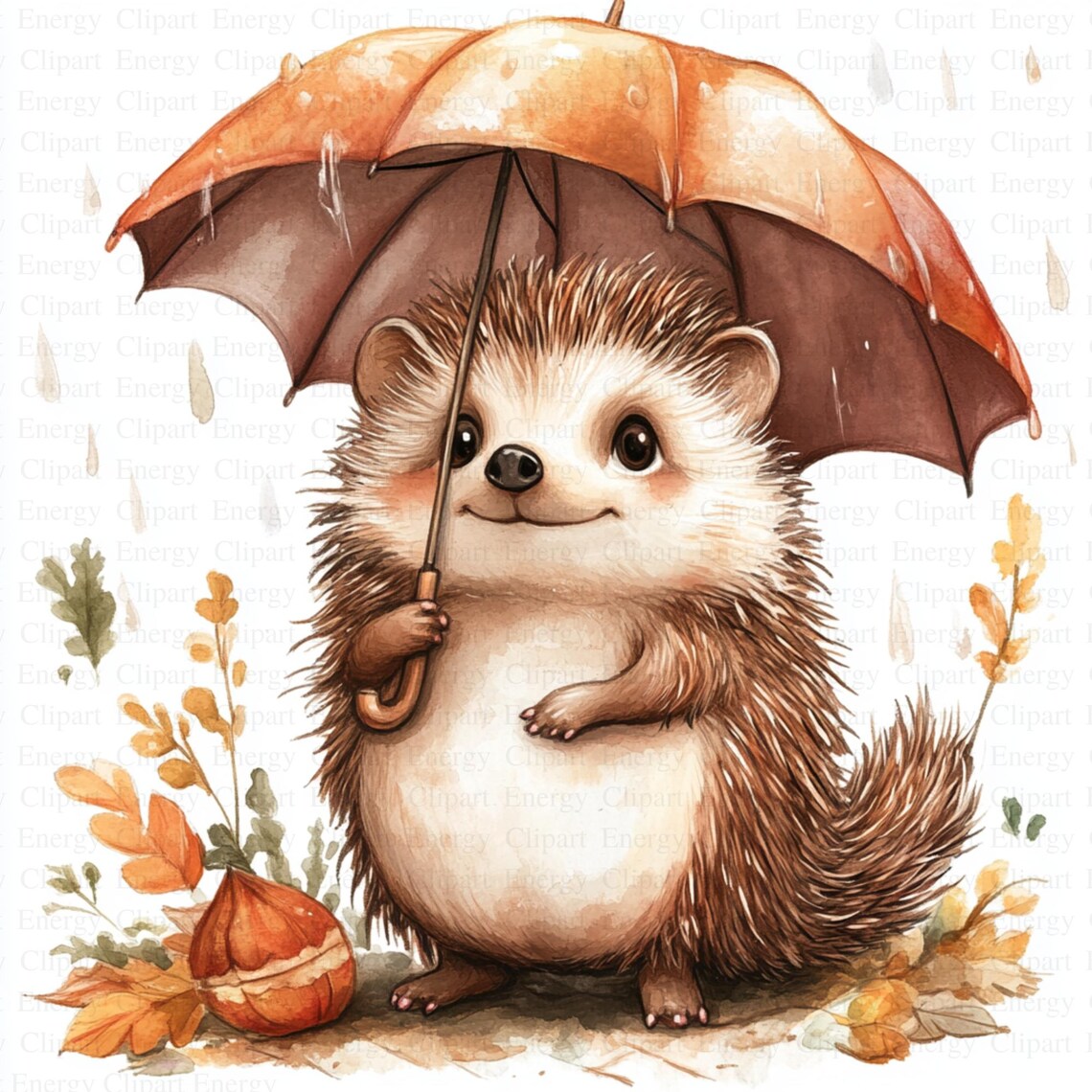 Hedgehog Rainy Clipart | 5 High Quality Jpgs | Digital Download ...