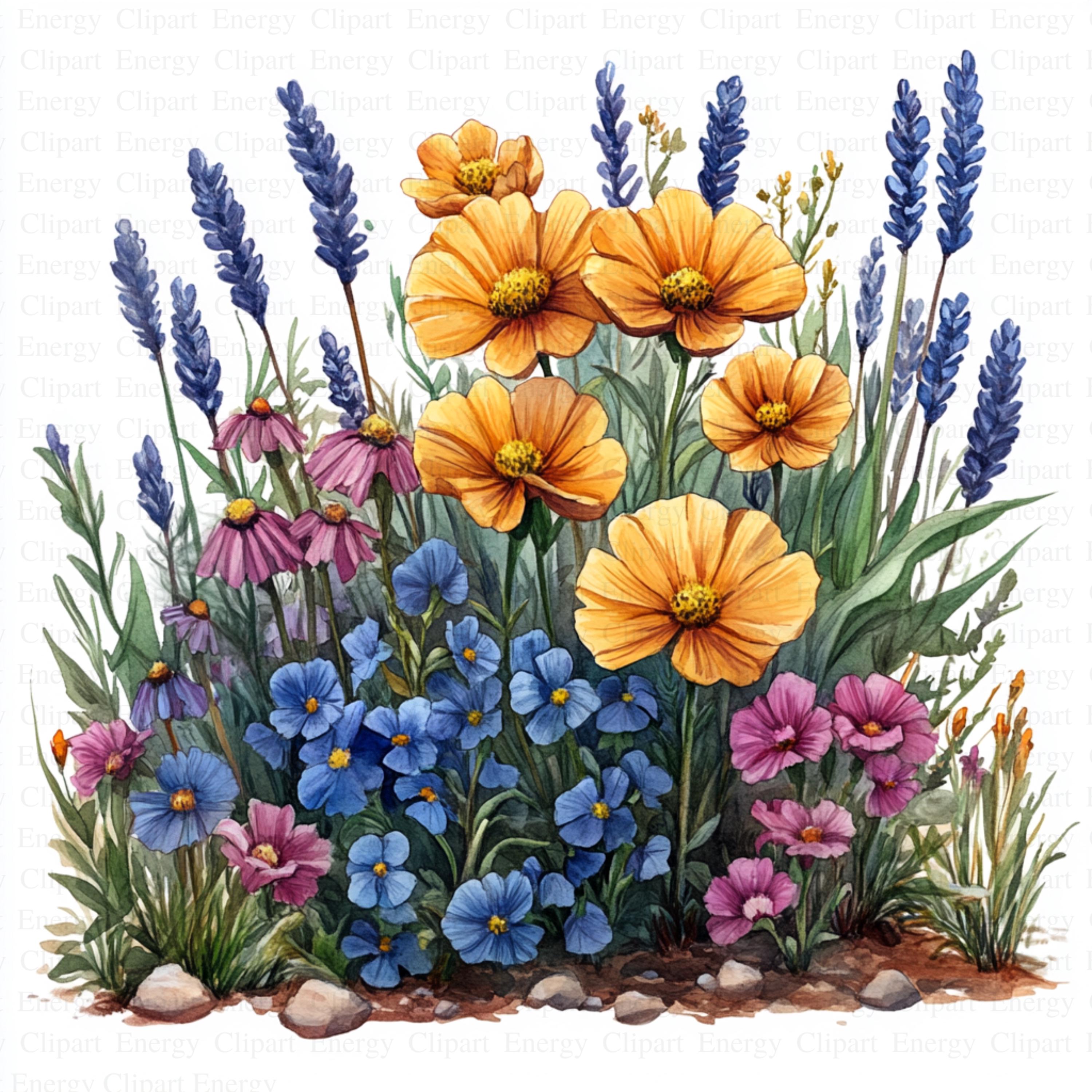 Spring Garden Clipart | 5 High Quality Jpg's | Digital Download ...