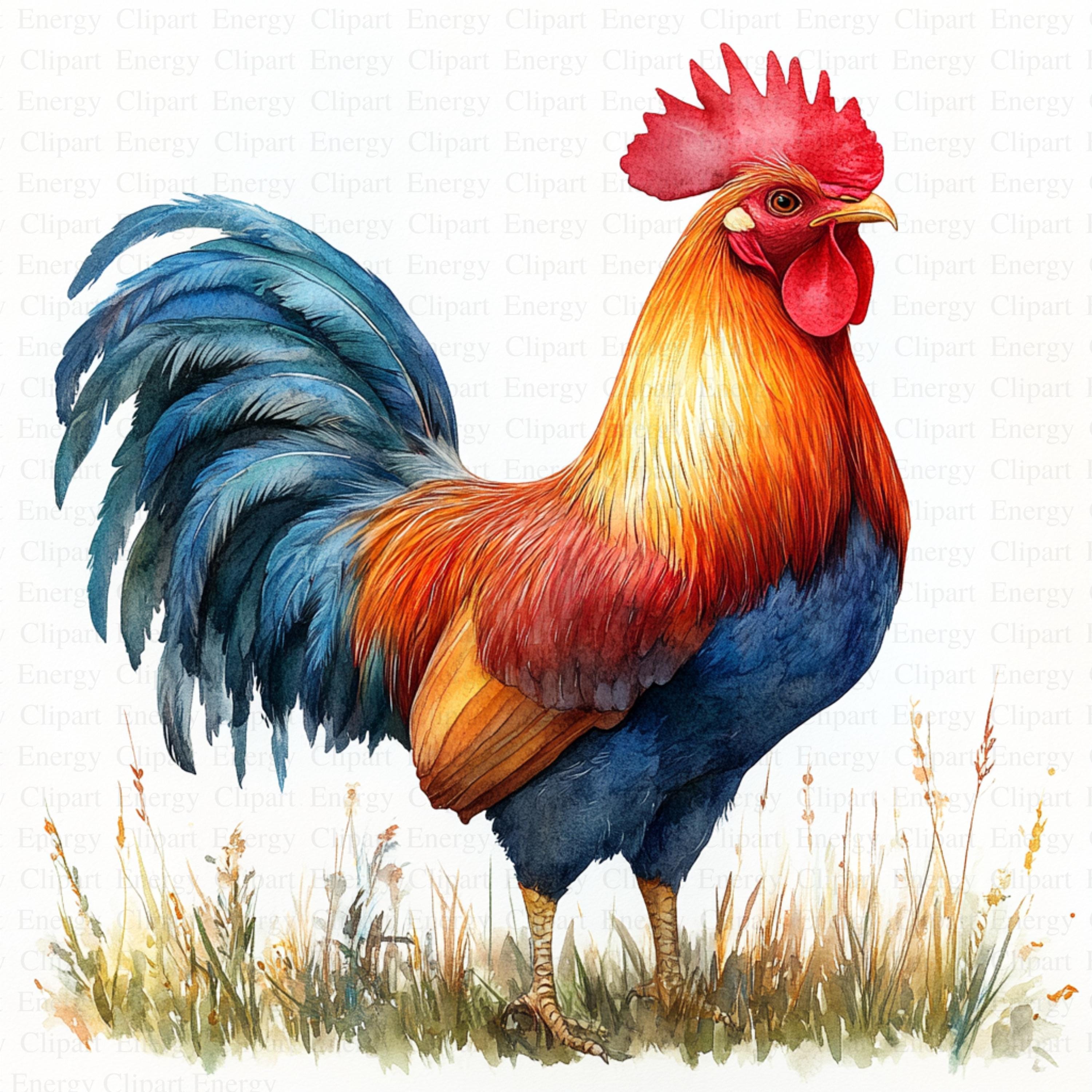 Cockerel Clipart | 5 High Quality Jpg's | Digital Download | Rooster ...