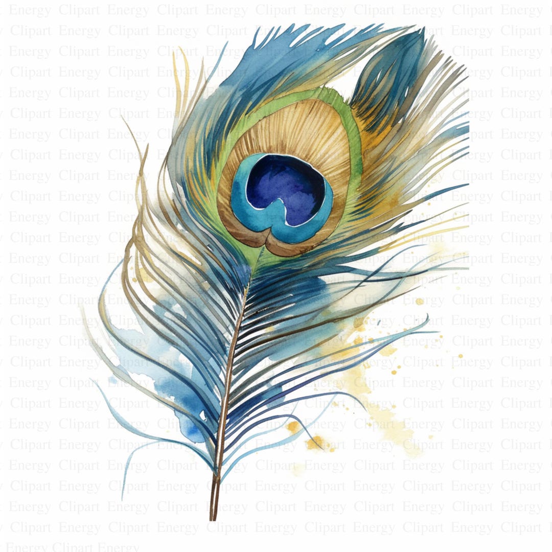 Watercolor Peacock Feathers Clipart | 5 High Quality Jpg's | Digital ...