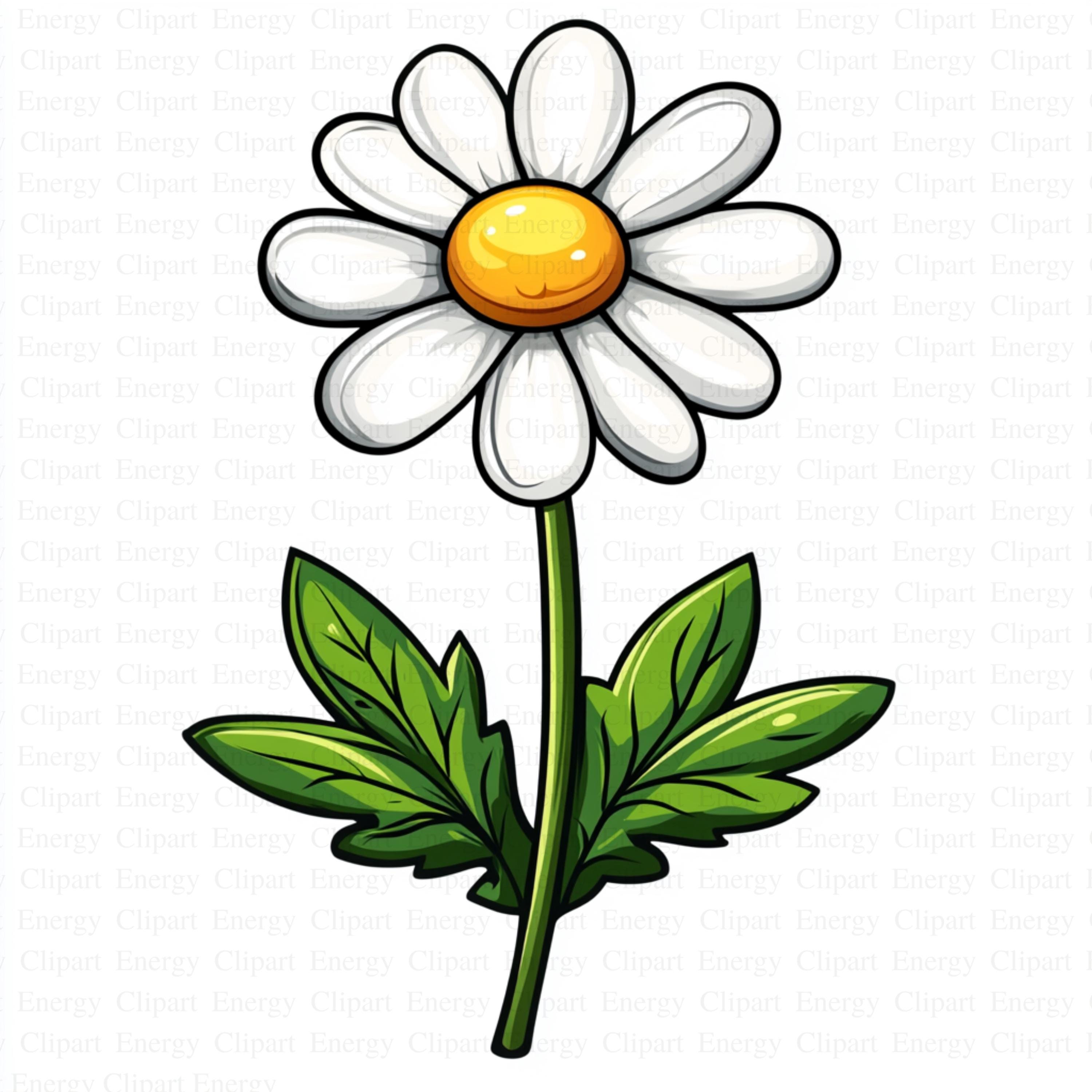 Daisy Clipart | 5 High Quality Jpg's | Digital Download | Spring Flower ...
