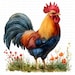 Cockerel Clipart | 5 High Quality Jpg's | Digital Download | Rooster ...