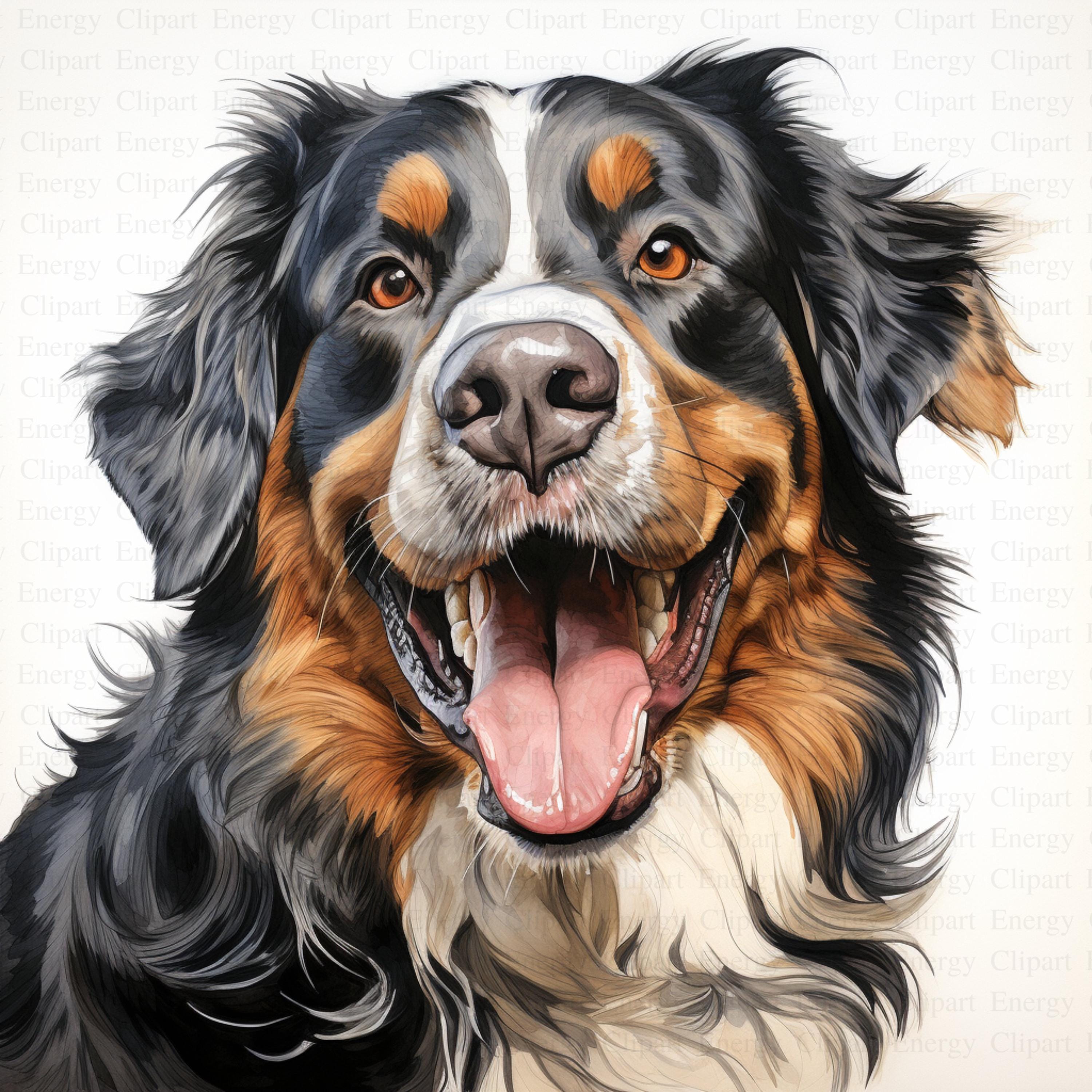 Bernese Mountain Dog Clipart | 5 High Quality Jpg's | Digital Download ...