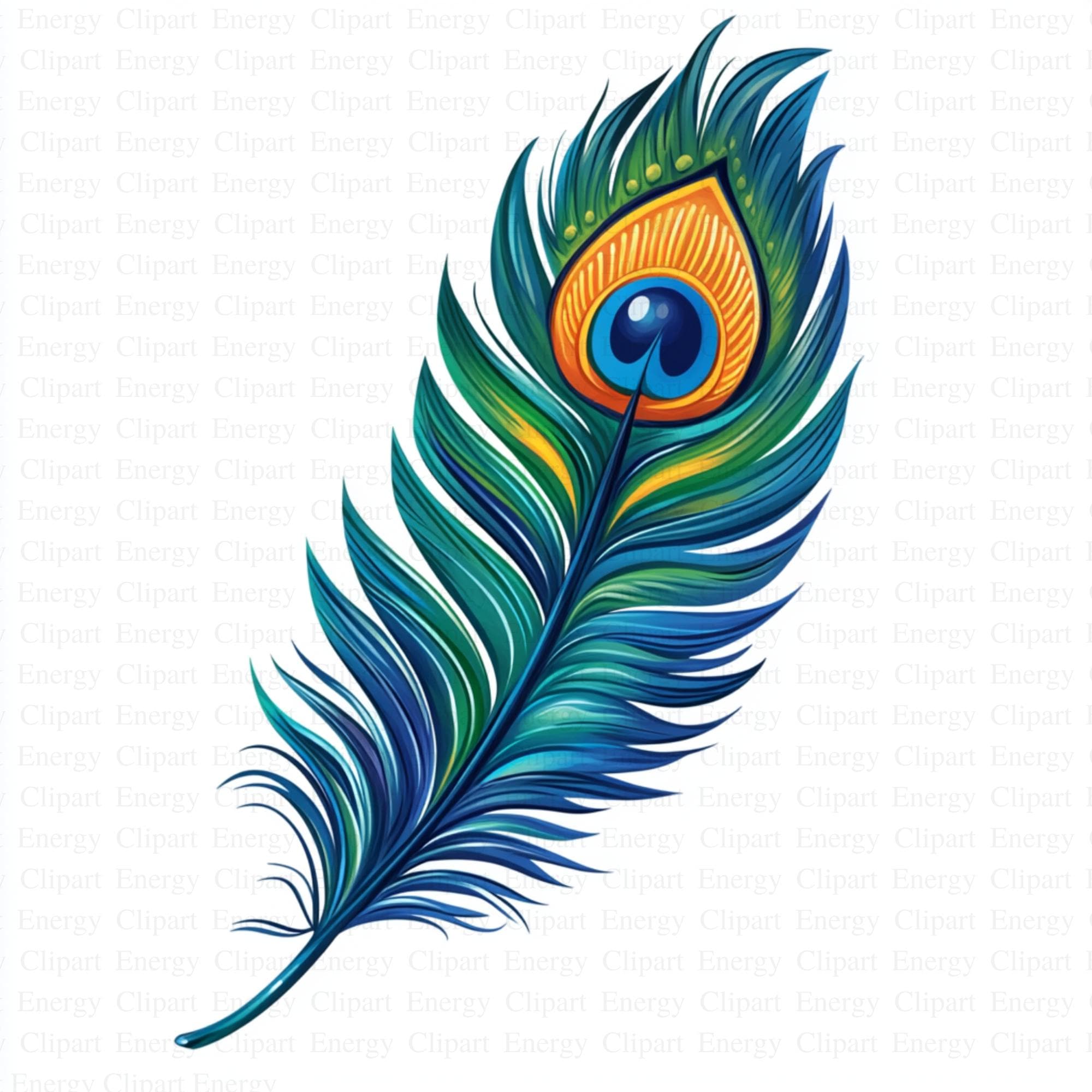 Peacock Feather Clipart | 5 High Quality Jpgs | Digital Download | Wall ...