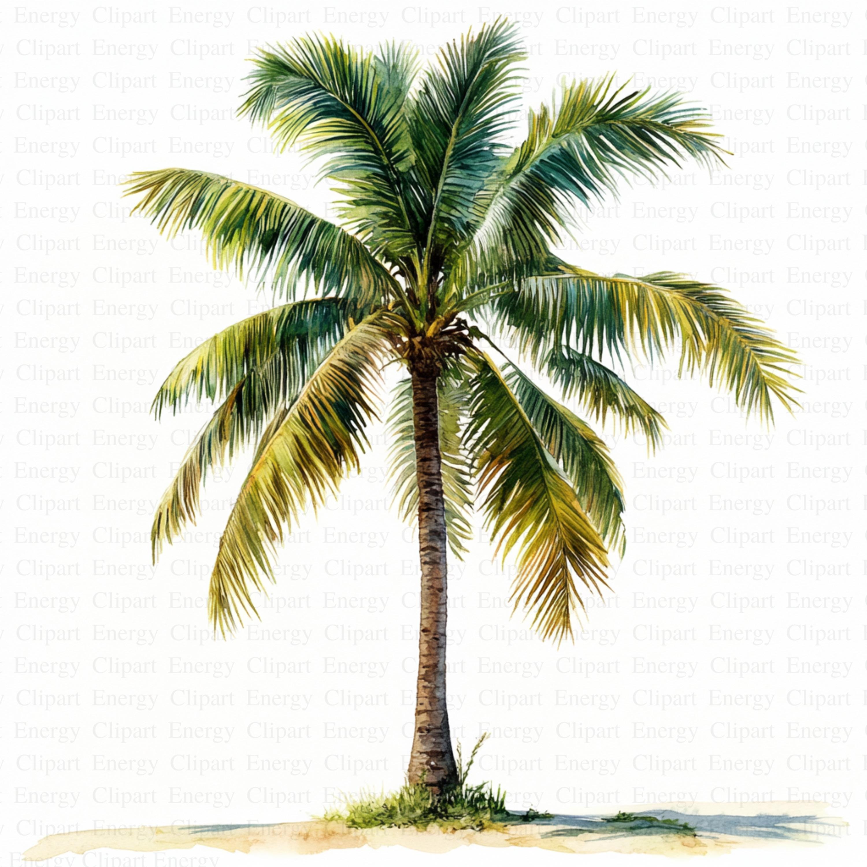 Palm Trees Clipart | 5 High Quality Jpg's | Digital Download | Tropical ...