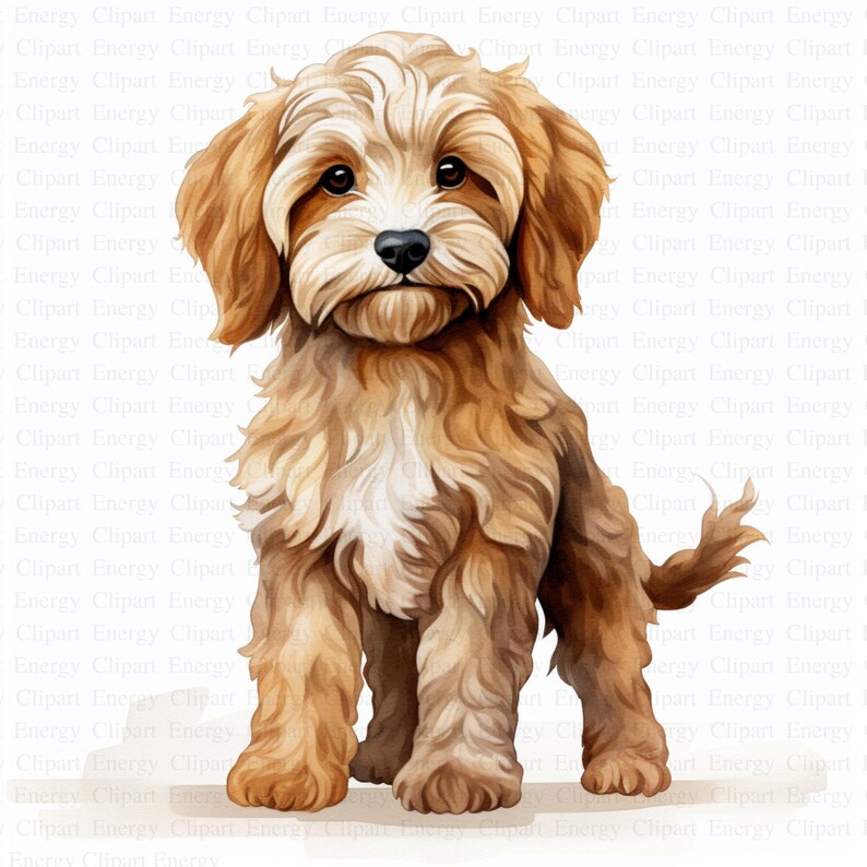 Cockapoo Clipart | 5 High Quality Jpgs | Digital Download | Card Making ...