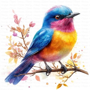 Colorful Bird Clipart 5 High Quality Jpg's Digital Download Bright Bird ...