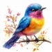 Colorful Bird Clipart 5 High Quality Jpg's Digital Download Bright Bird ...