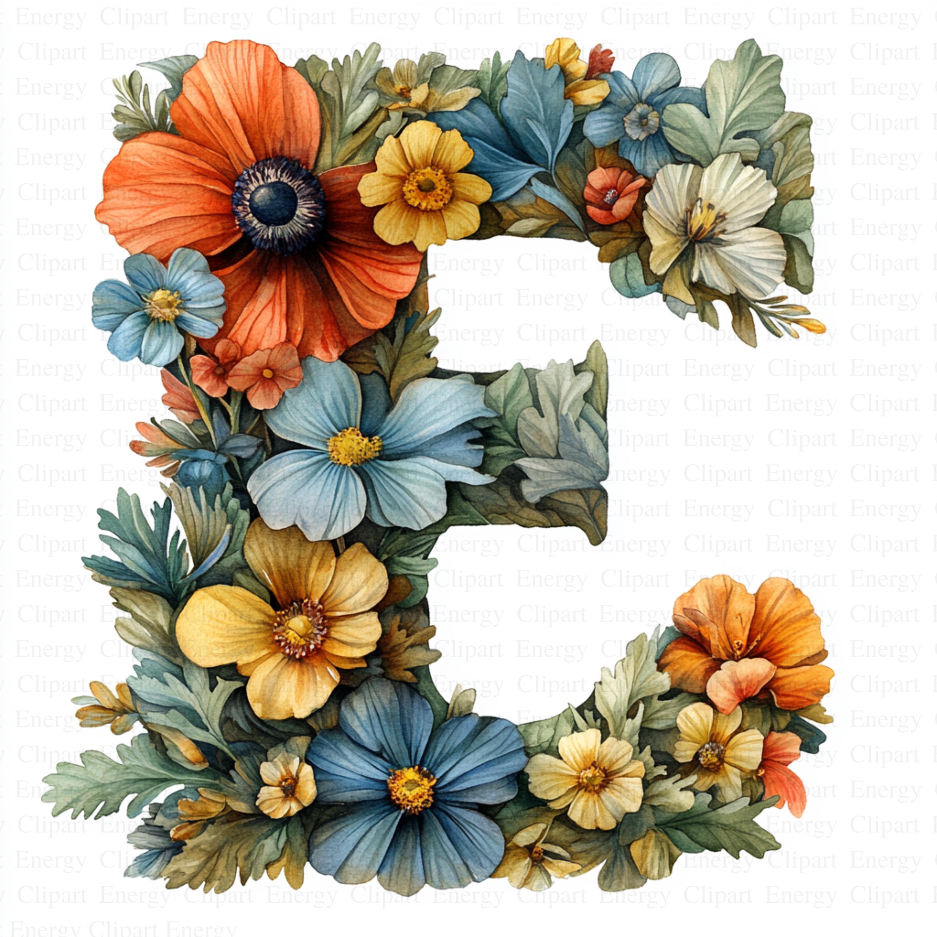 Letter E Clipart | 5 High Quality Jpg's | Digital Download | Alphabet ...