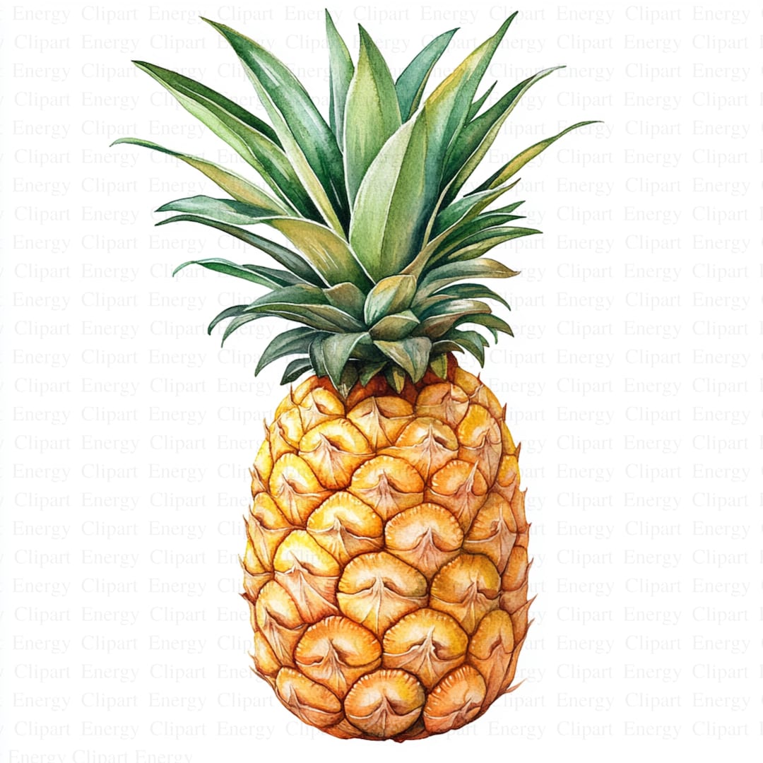 Pineapples Clipart | 5 High Quality Jpg's | Digital Download ...