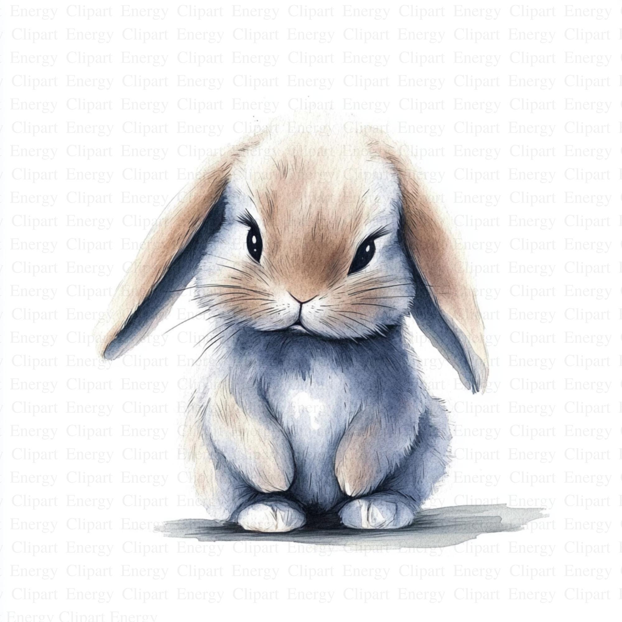 Sad Bunny Clipart | 5 High Quality Jpgs | Digital Download | Wall Art ...