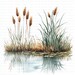 Cattails and Reeds in Water Pond Clipart | 5 High Quality Jpgs ...