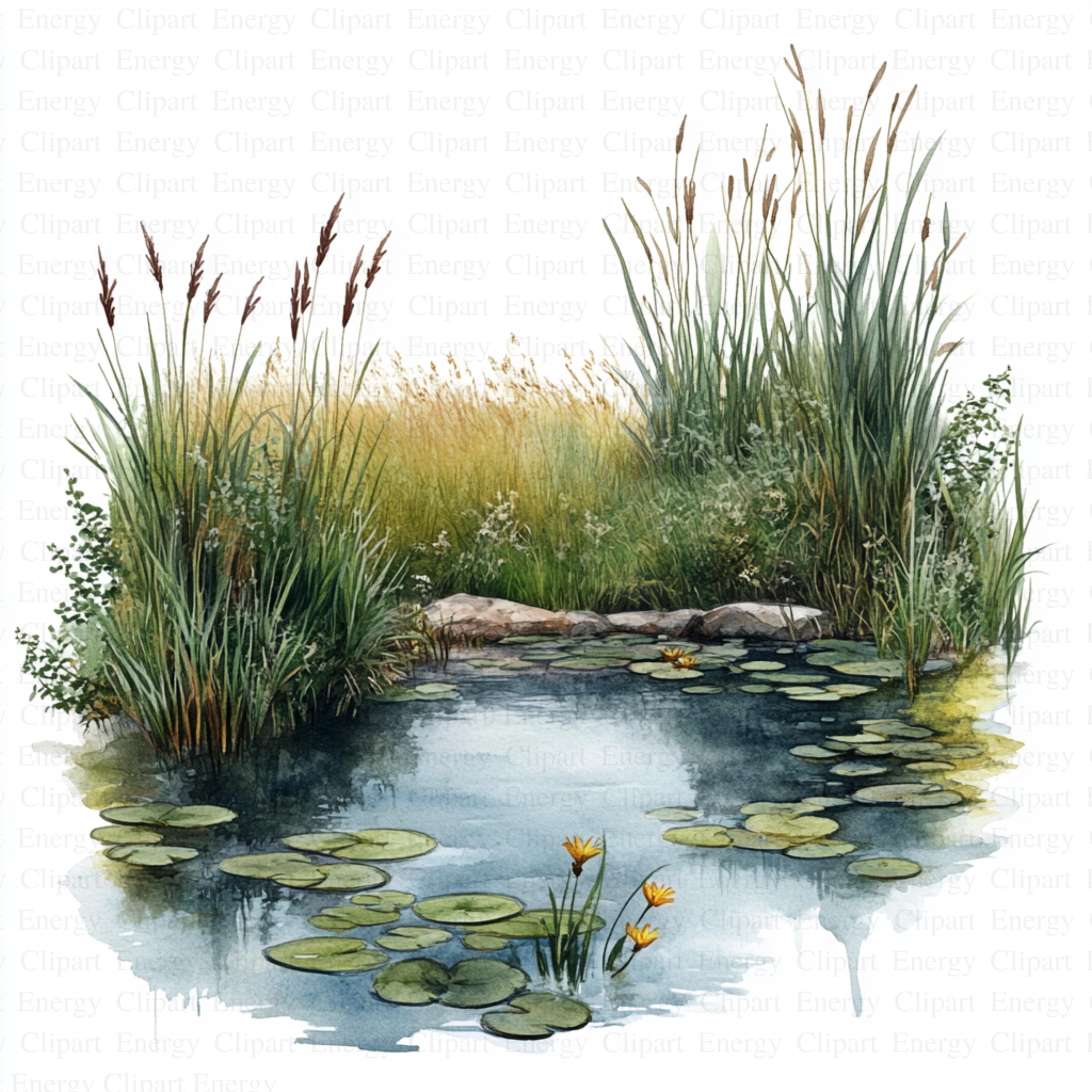 Watercolor Country Ponds Clipart | 5 High Quality Jpg's | Digital ...