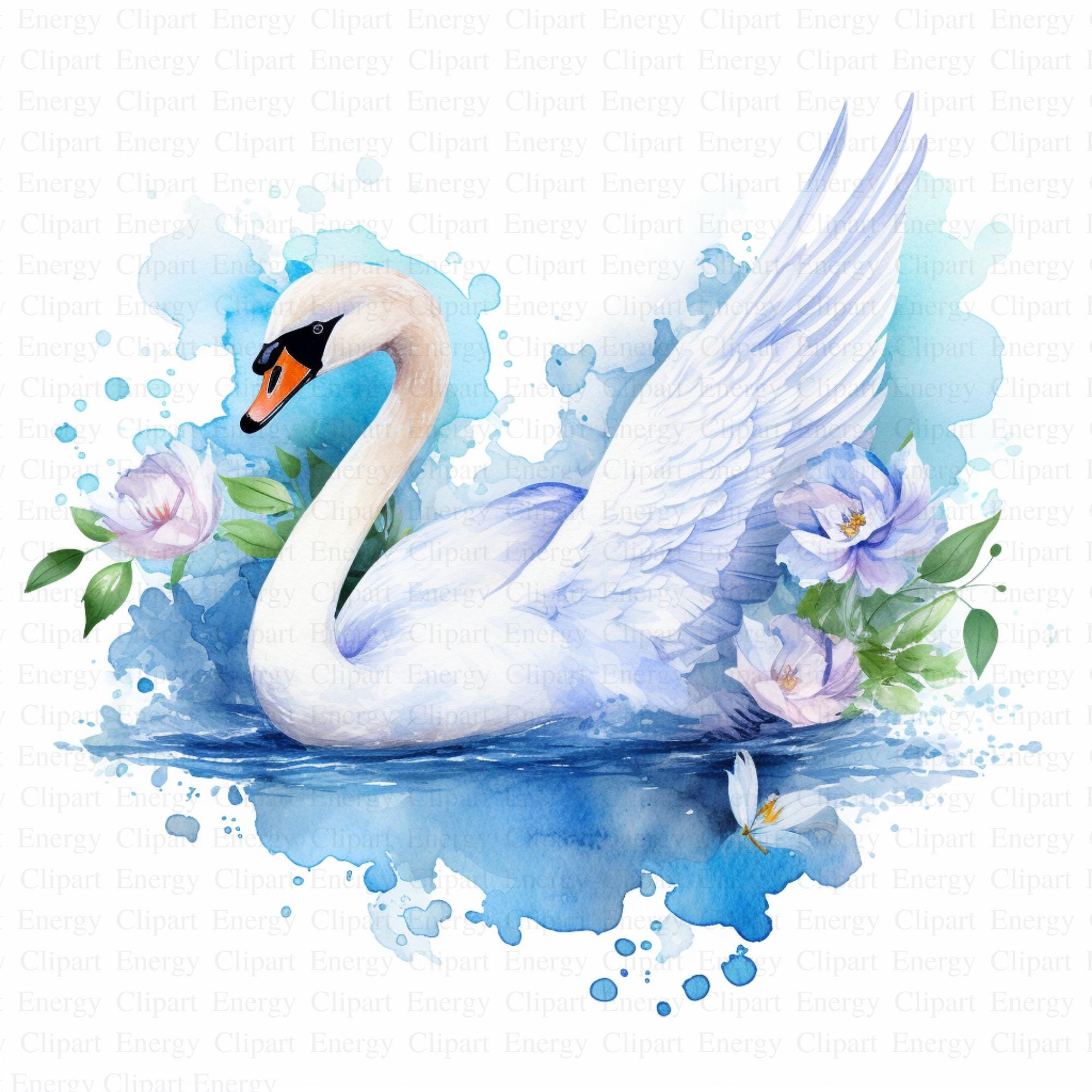 Swan Clipart | 5 High Quality Jpg's | Digital Download | Watercolor ...