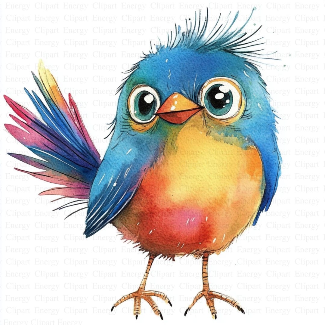 Whimsical Birds Clipart | 5 High Quality Jpgs | Digital Download ...