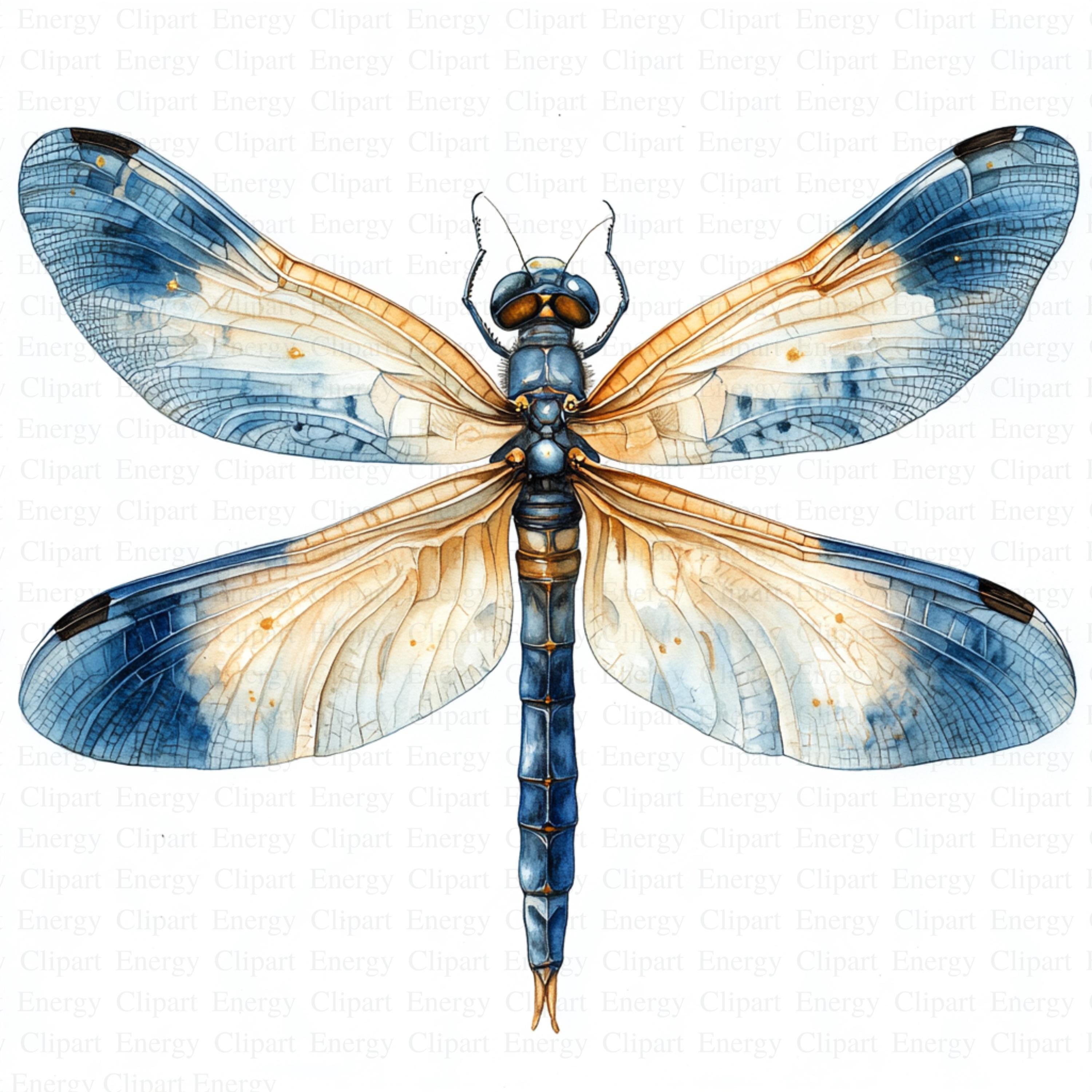 Vintage Dragonfly Clipart | 5 High Quality Jpg's | Digital Download ...