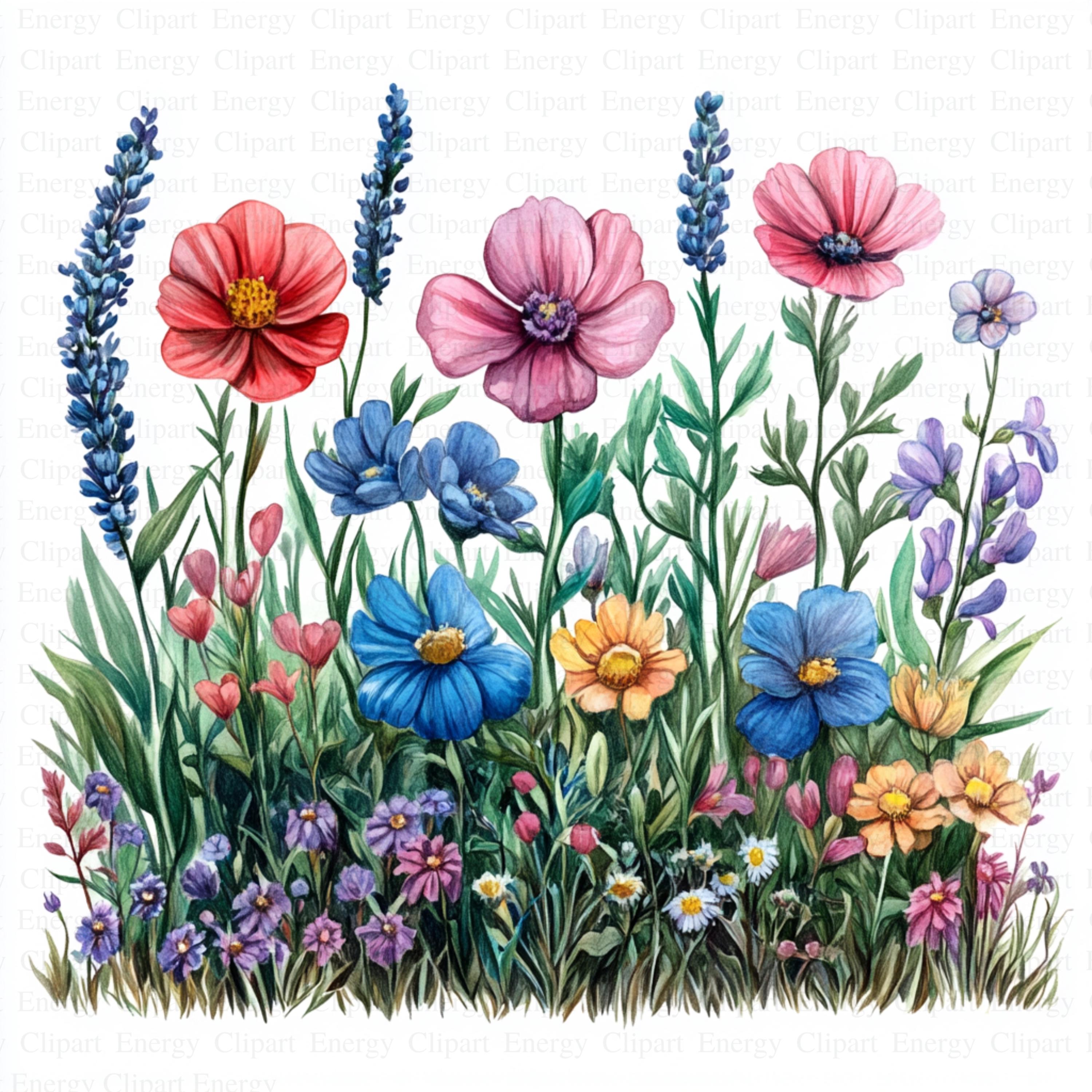 Spring Garden Clipart | 5 High Quality Jpg's | Digital Download ...