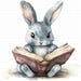 Bunny Reading Book Clipart | 5 High Quality Jpgs | Digital Download ...