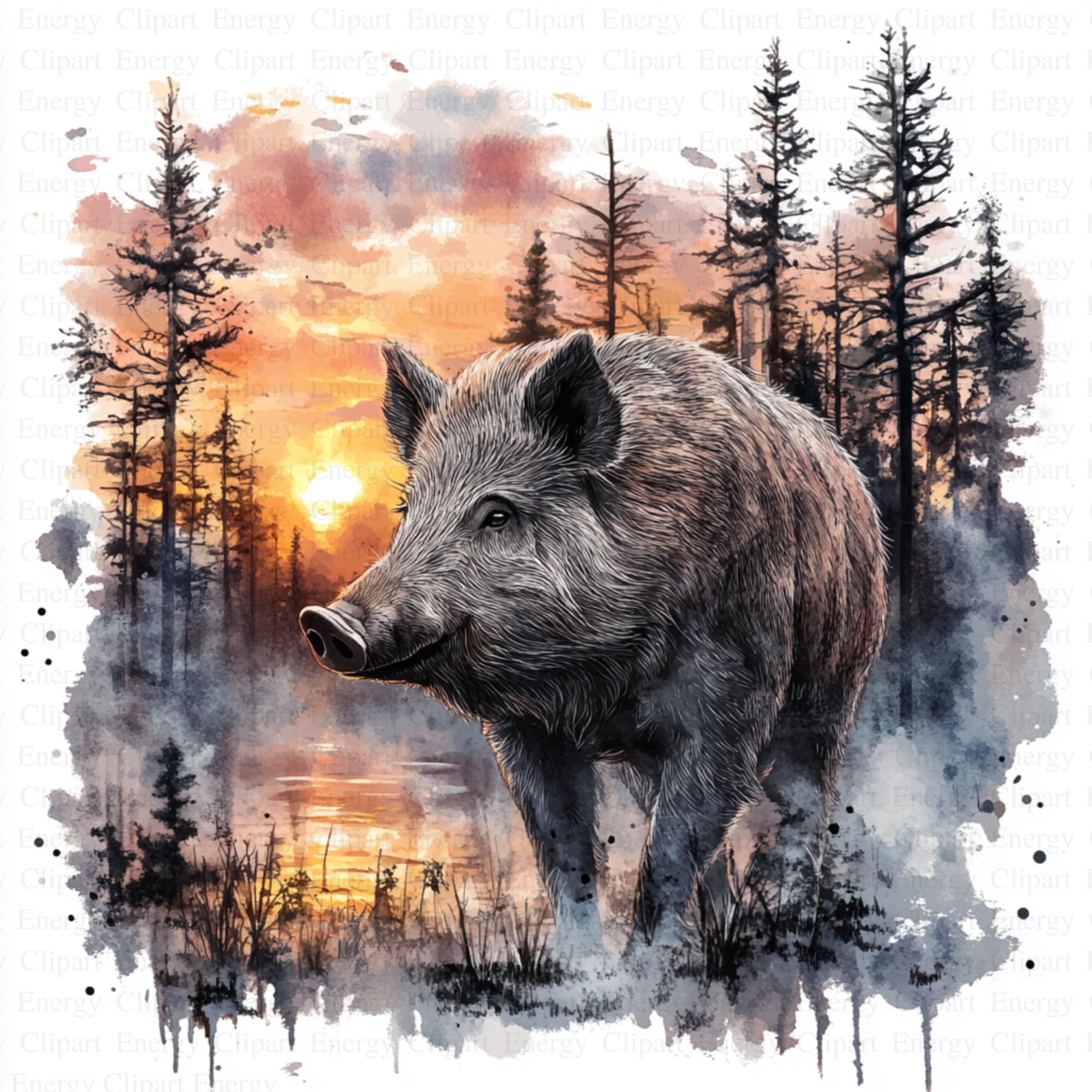 Wild Boar in Forest Clipart | 5 High Quality Jpgs | Digital Download ...