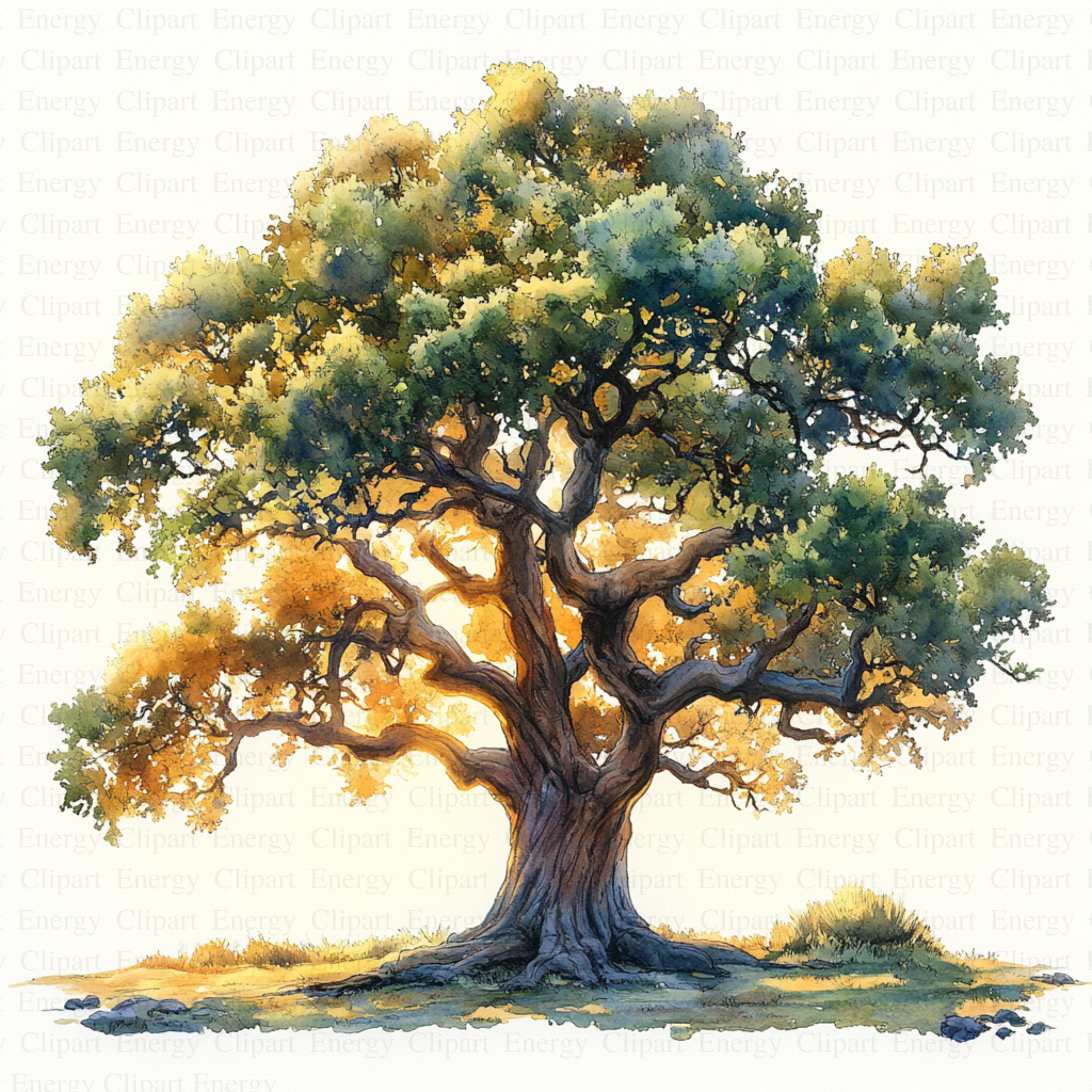 Oak at Sunset Clipart | 5 High Quality Jpg's | Digital Download ...
