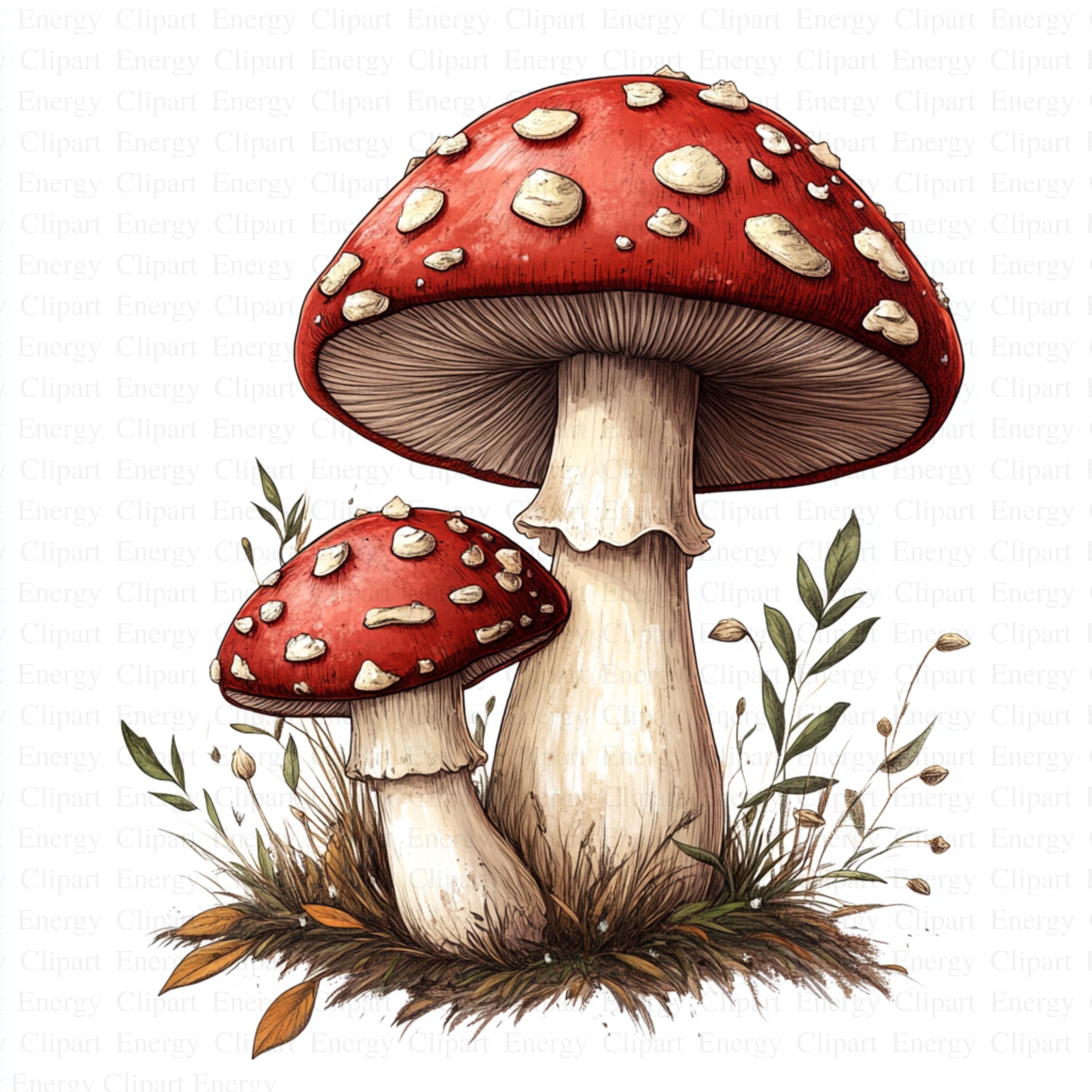 Fairy Mushroom Clipart | 5 High Quality Jpg's | Digital Download ...
