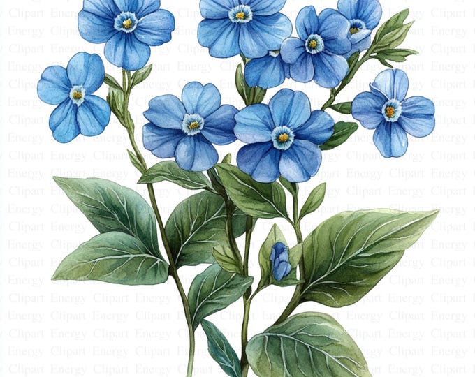 Forget Me Nots Clipart | 10 High Quality Jpg's | Digital Download ...