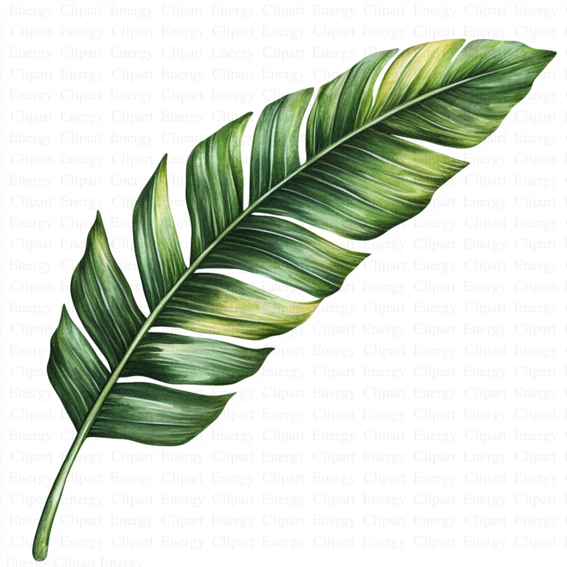 Palm Leaf Clip Art 5 High Quality Jpg's Digital Download Leaves ...