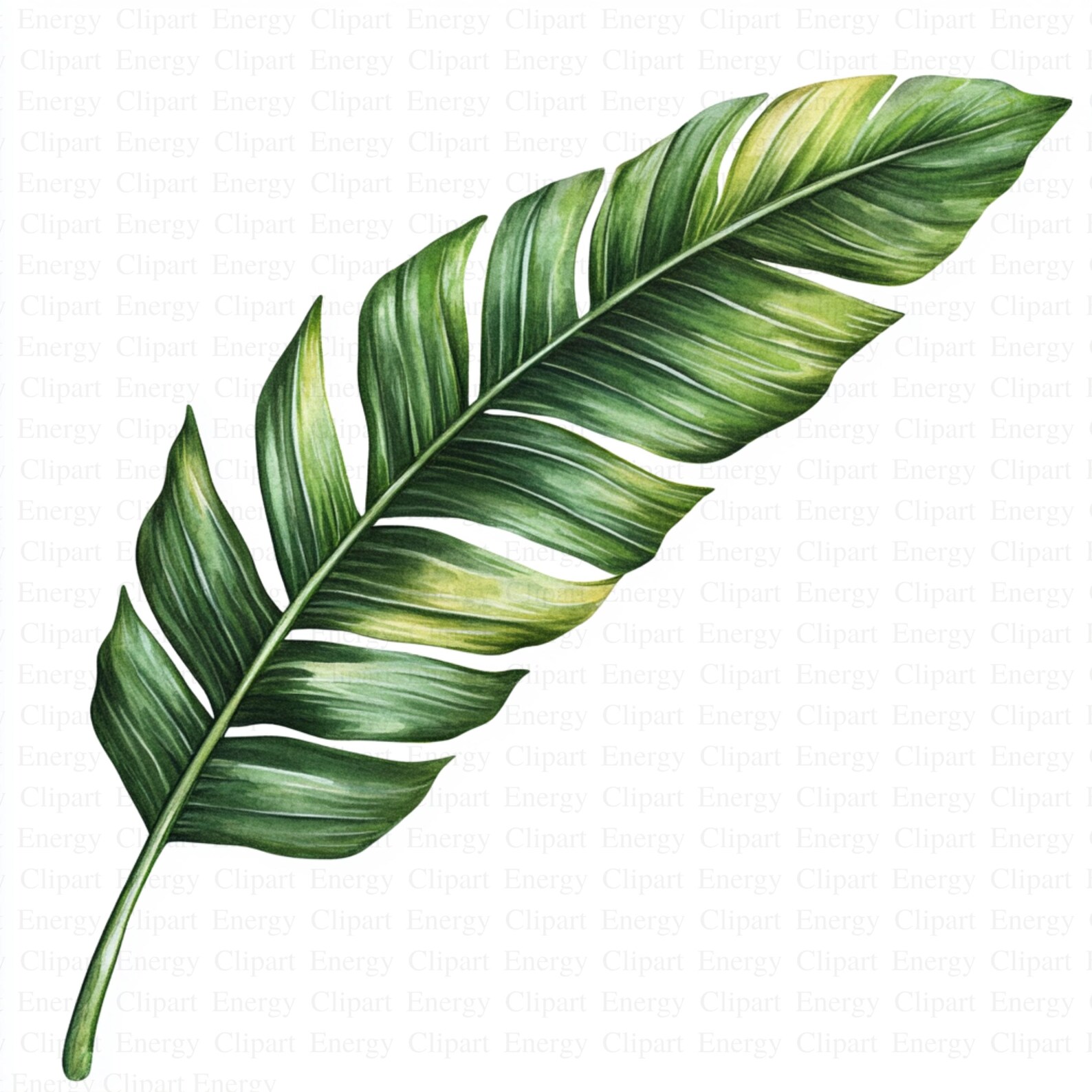 Palm Leaf Clip Art 5 High Quality Jpg's Digital Download Leaves ...