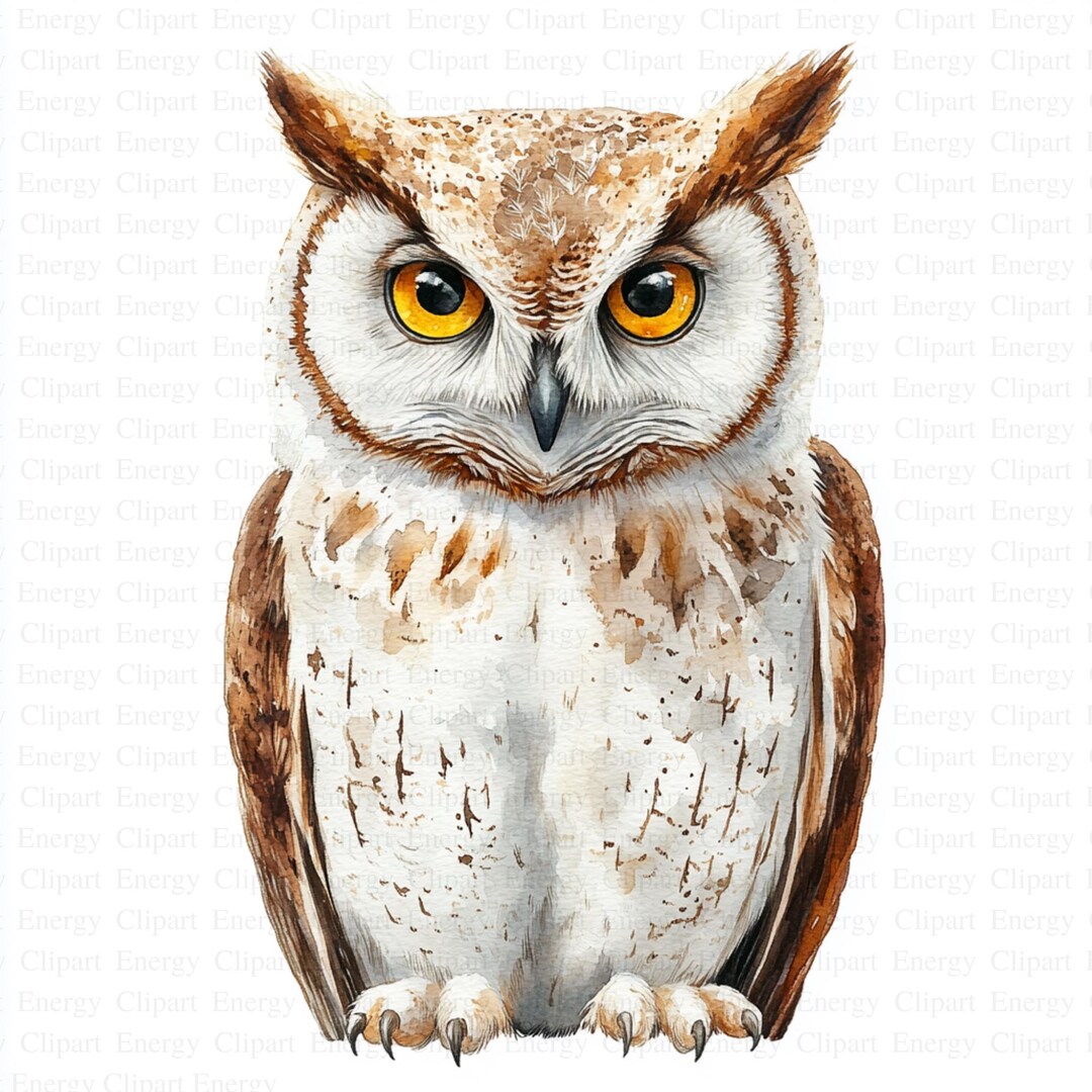 Owl Clipart 5 High Quality Jpgs Digital Download Nursery Art Card ...