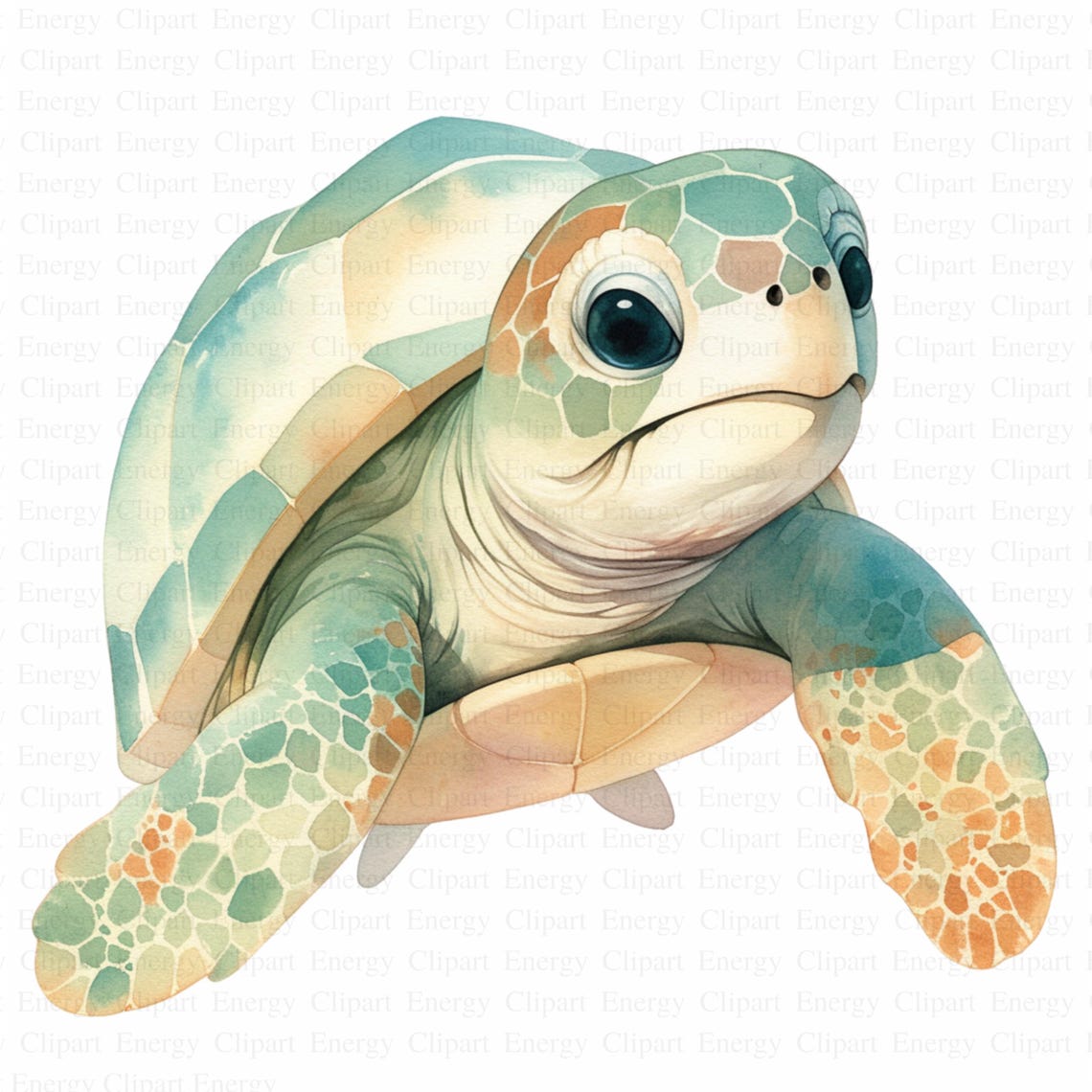 Watercolor Cute Tortoise Clipart 5 High Quality Jpg's Digital Download ...