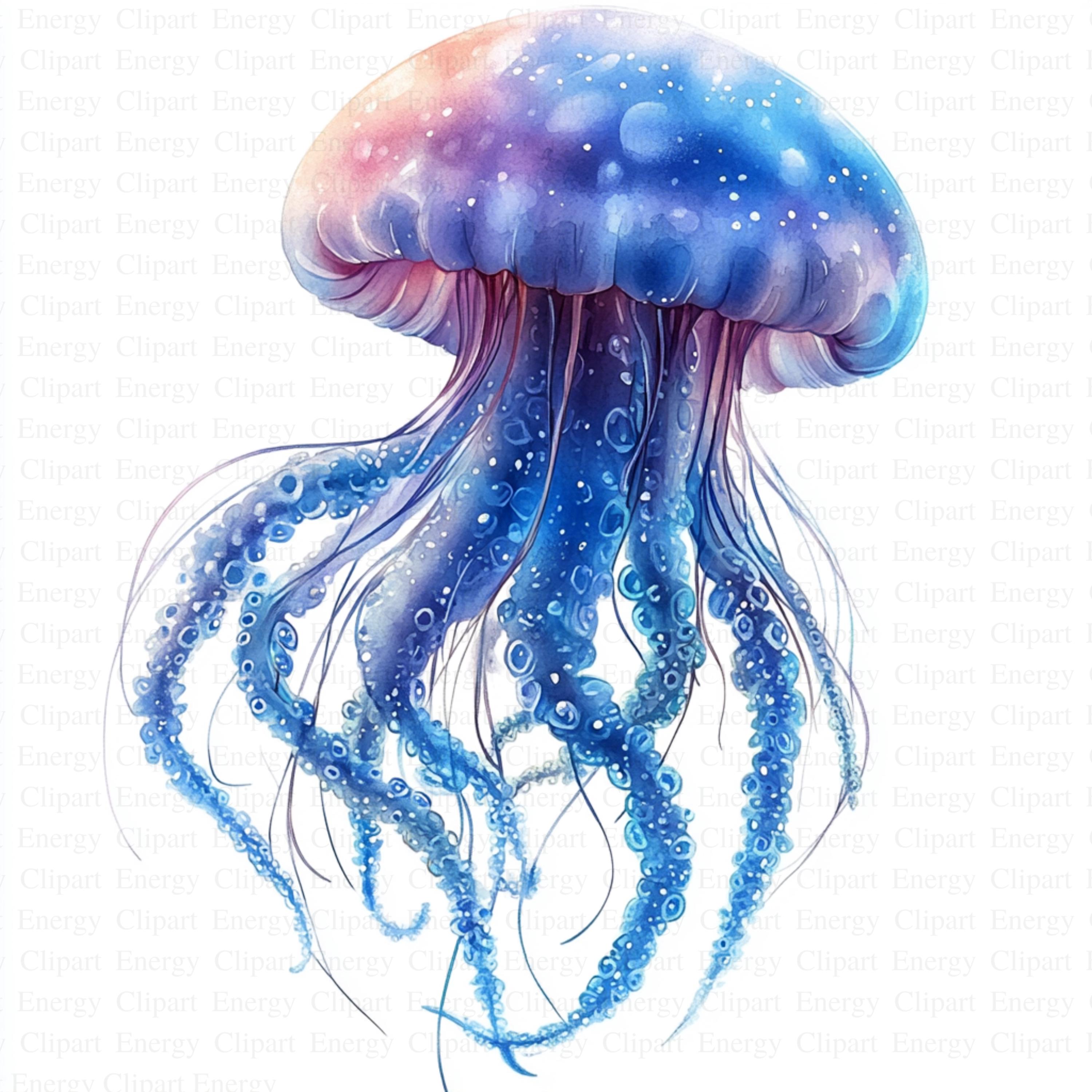 Jellyfish Clipart | 5 High Quality Jpg's | Digital Download | Sea ...
