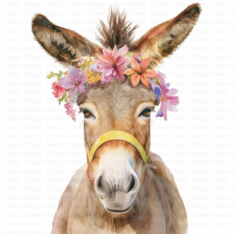 Floral Donkeys Clipart | 5 High Quality Jpg's | Digital Download ...
