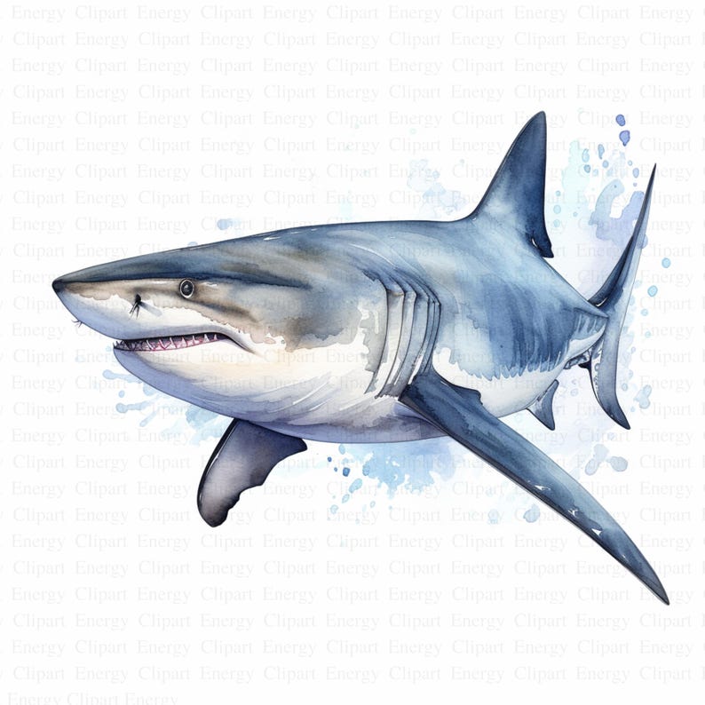 Shark Clipart | 5 High Quality Jpg's | Ocean Life Art | Shark ...