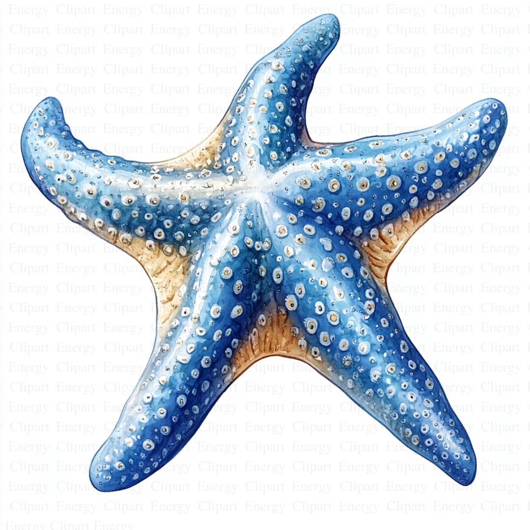 Starfish Clipart | 5 High Quality Jpg's | Digital Download | Beach ...