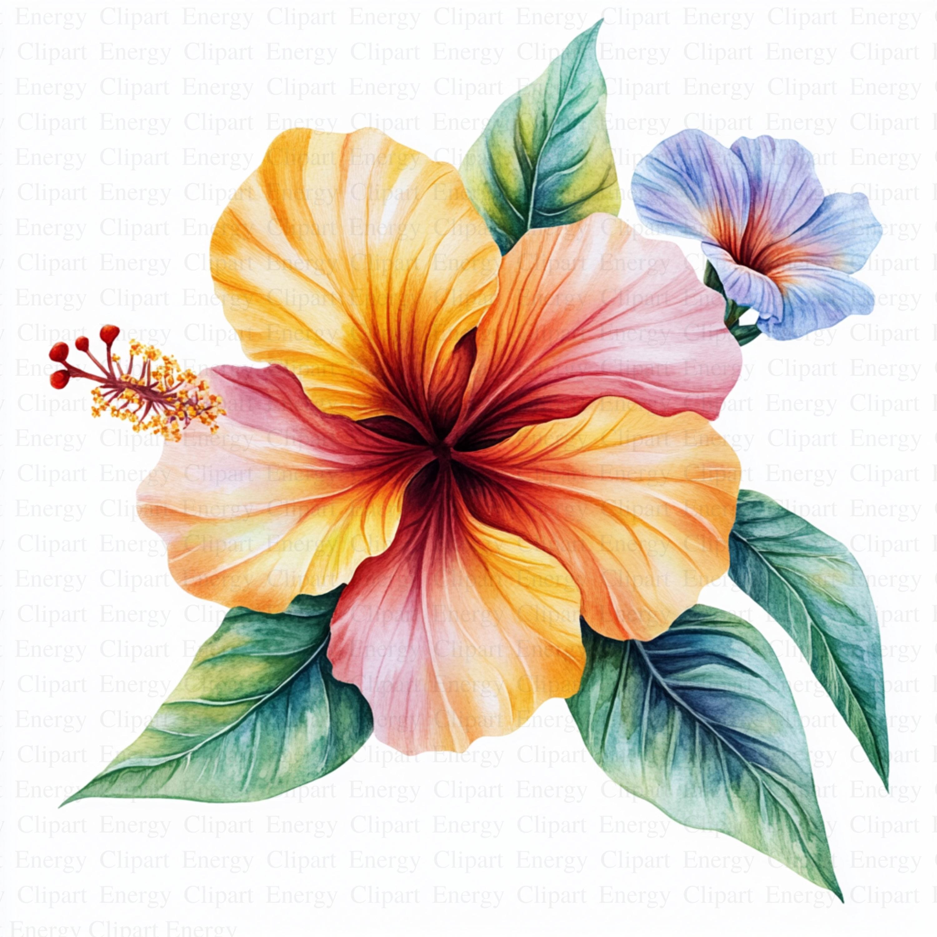 Tropical Flowers Clipart | 5 High Quality Jpg's | Digital Download ...