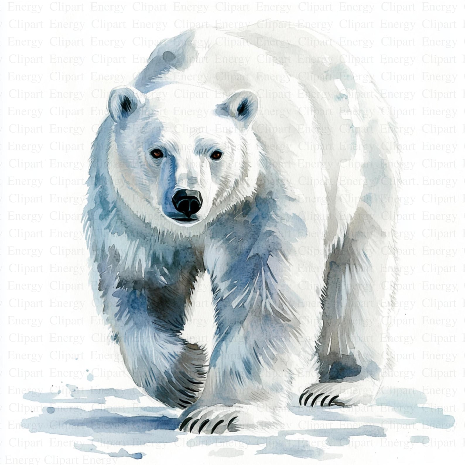 Polar Bear Clipart | 5 High Quality Jpgs | Digital Download | Nursery ...