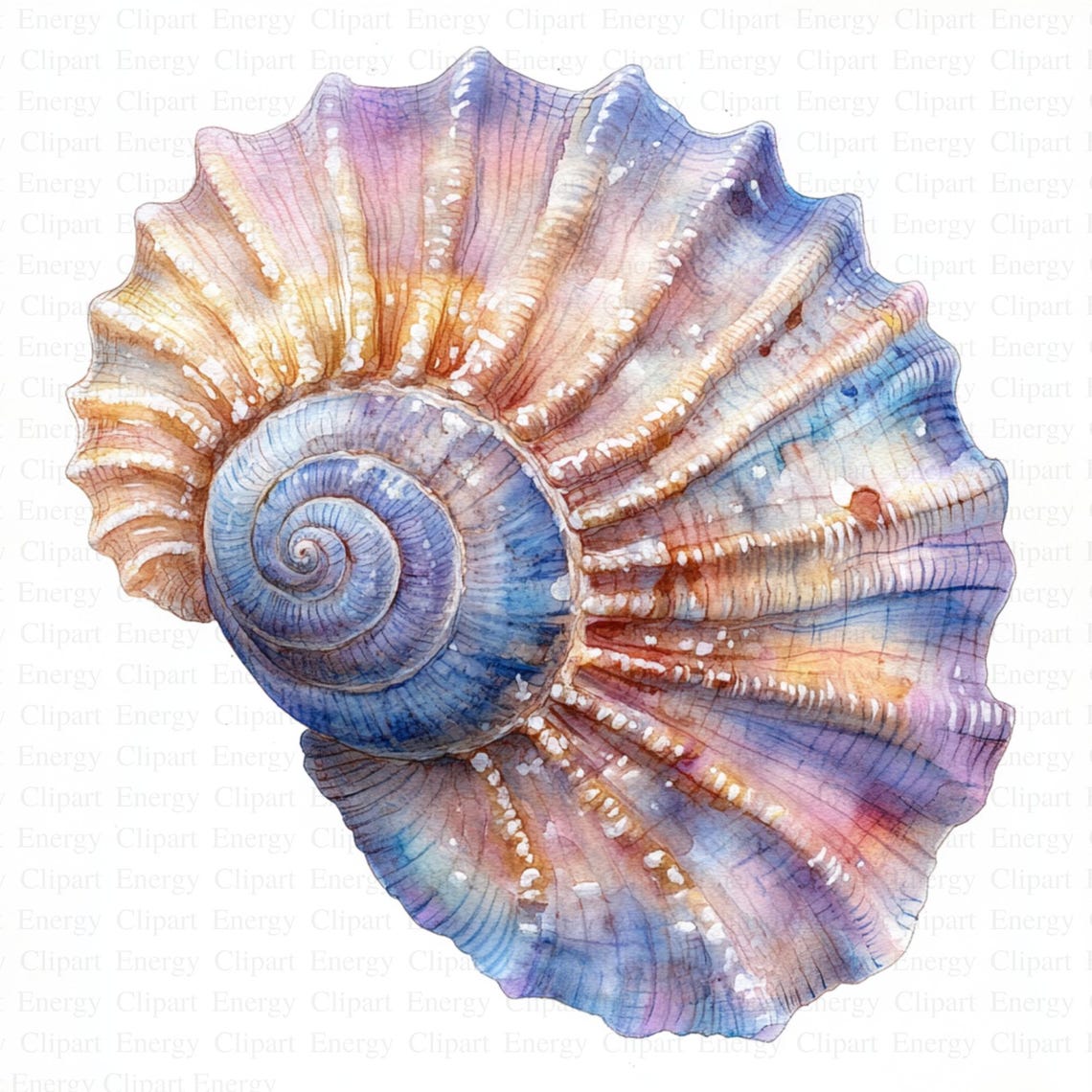 Gorgeous Sea Shells Clipart | 5 High Quality Jpgs | Digital Download ...