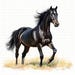 Watercolor Black Horse Clipart | 5 High Quality Jpg's | Digital ...