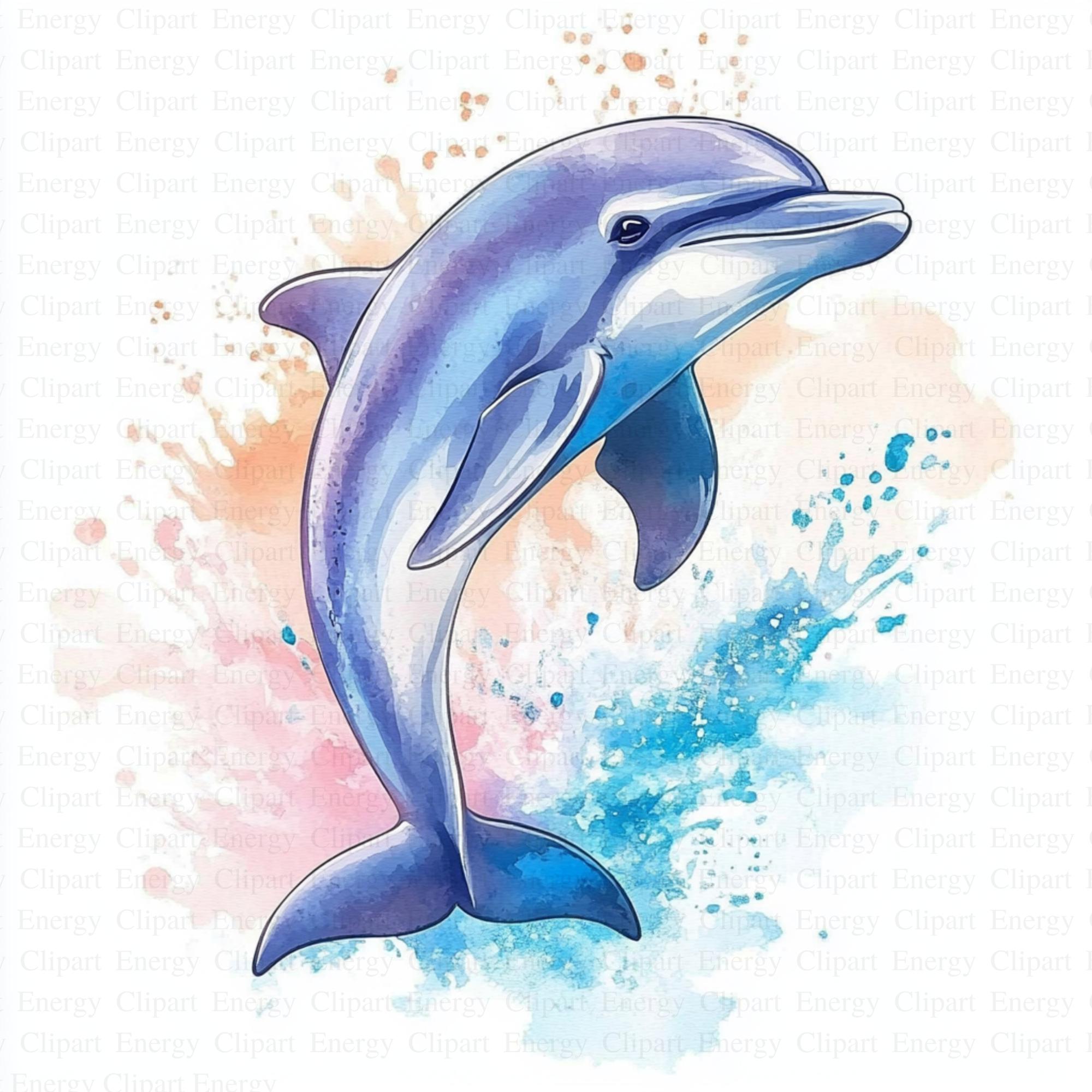 Dolphin Clipart | 5 High Quality Jpgs | Digital Download | Dolphin ...
