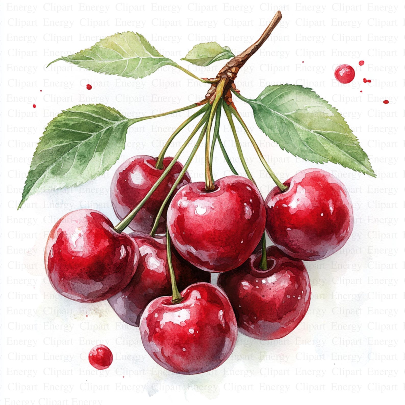 Watercolor Cherries Clipart | 5 High Quality Jpg's | Digital Download ...