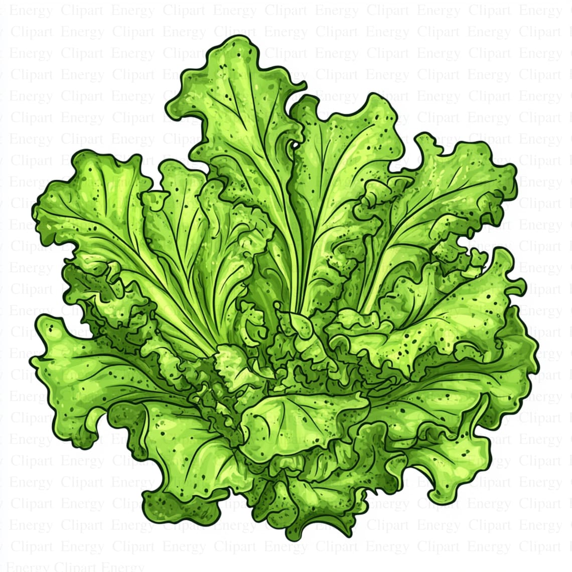 Lettuce Clipart | 5 High Quality Jpg's | Digital Download | Lettuce ...
