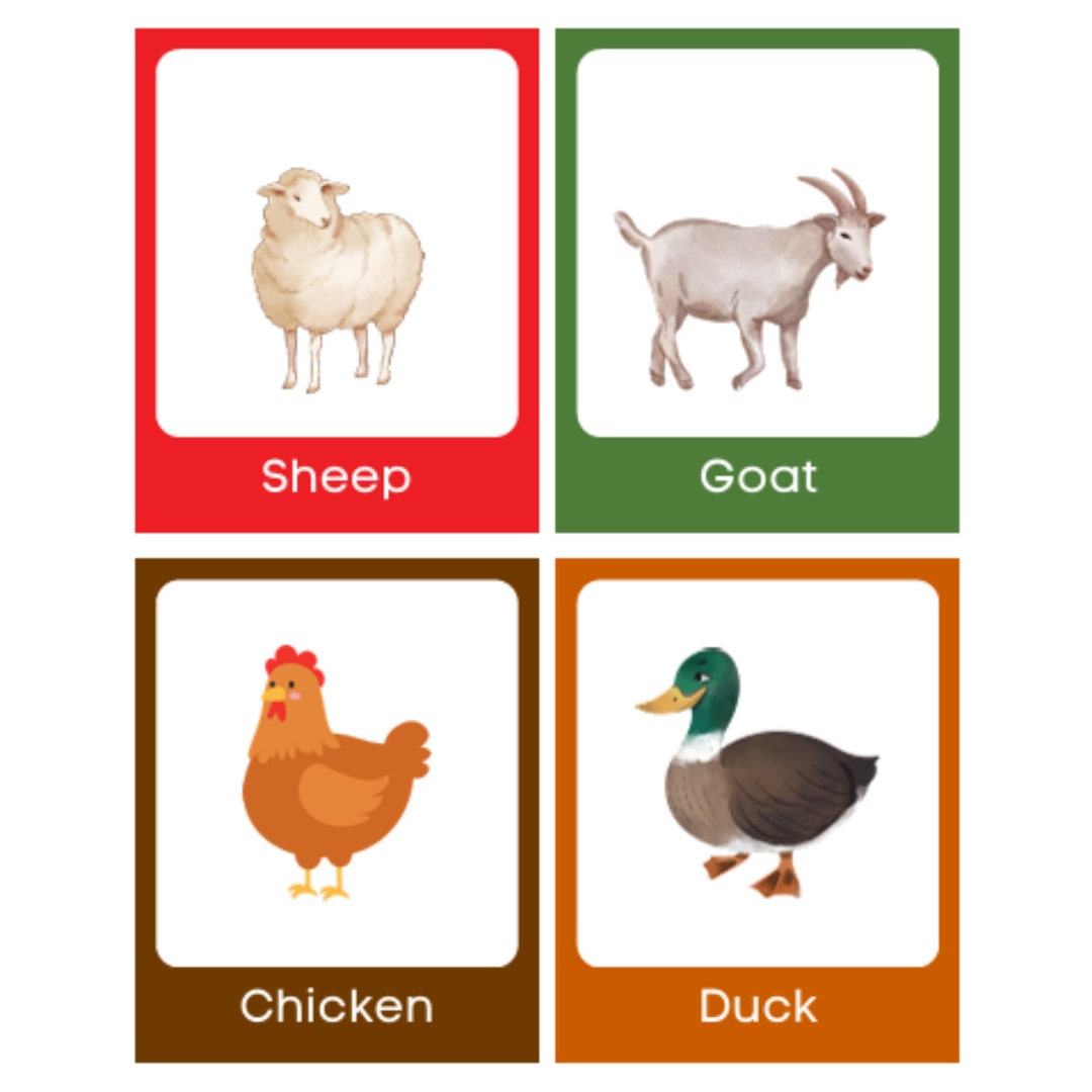 Explore the Farm Flashcards for Kids - Etsy