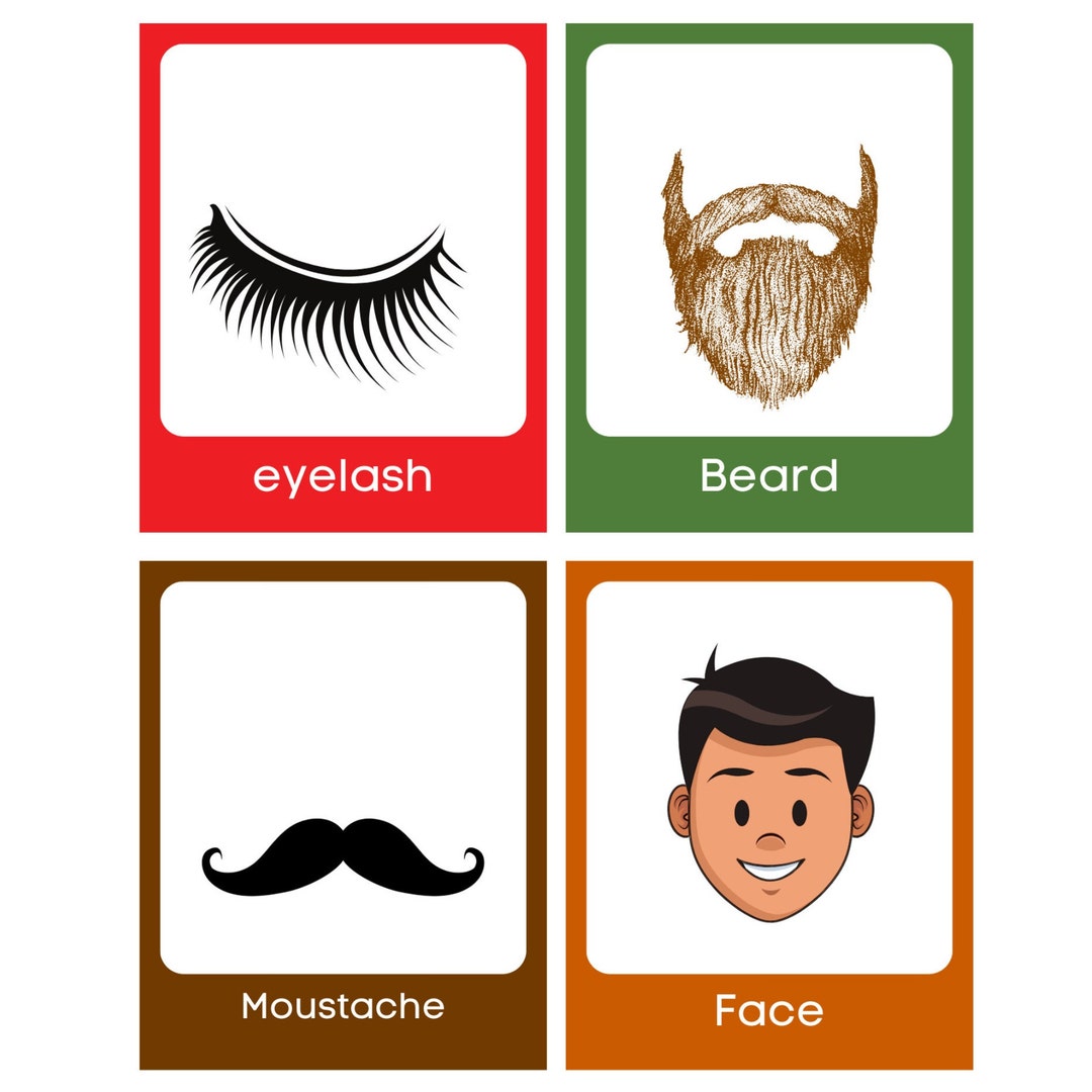 Make Learning Fun Body Parts Flashcards for Kids - Etsy