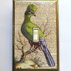 BIRD and EGG Themed Switchplates and MATCHING Screws- Birdcage Switch ...