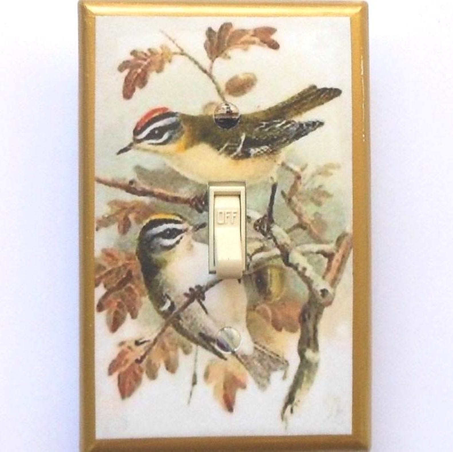 BIRD and EGG Themed Switchplates and MATCHING Screws- Birdcage Switch ...
