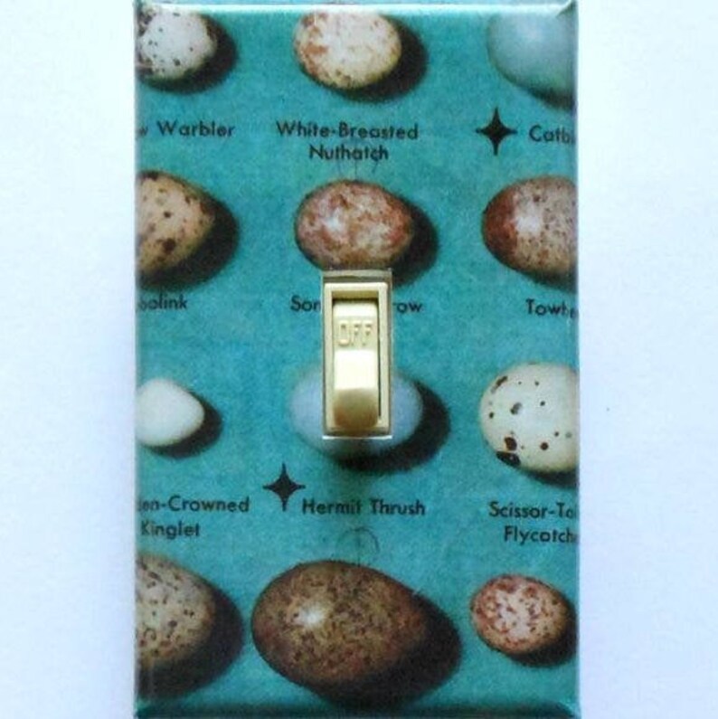 BIRD and EGG Themed Switchplates and MATCHING Screws- Birdcage Switch ...